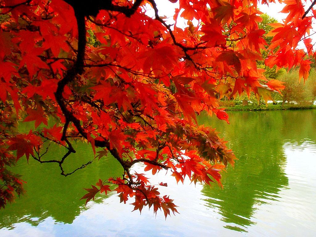Autumn Weather Wallpapers - Top Free Autumn Weather Backgrounds ...