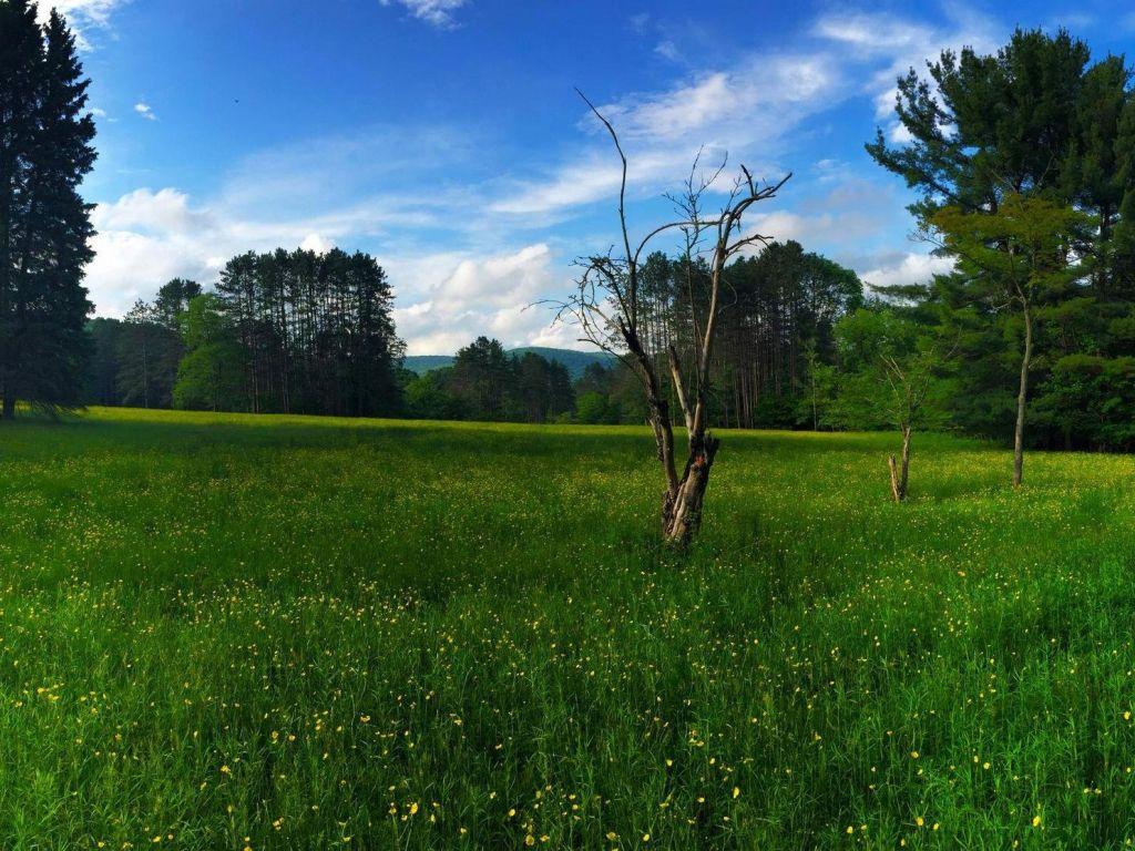 Spring Louisiana Wallpapers - Top Free Spring Louisiana Backgrounds ...