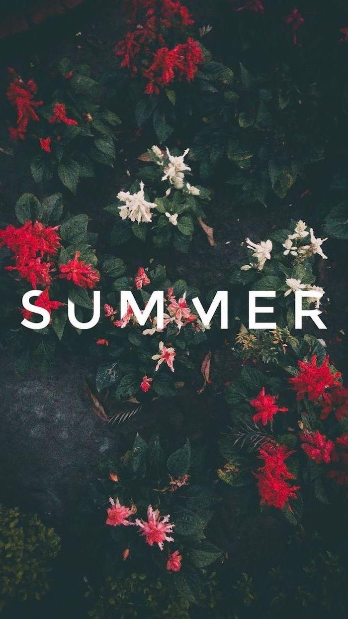 Dark Spring Wallpapers - Top Free Dark Spring Backgrounds - WallpaperAccess