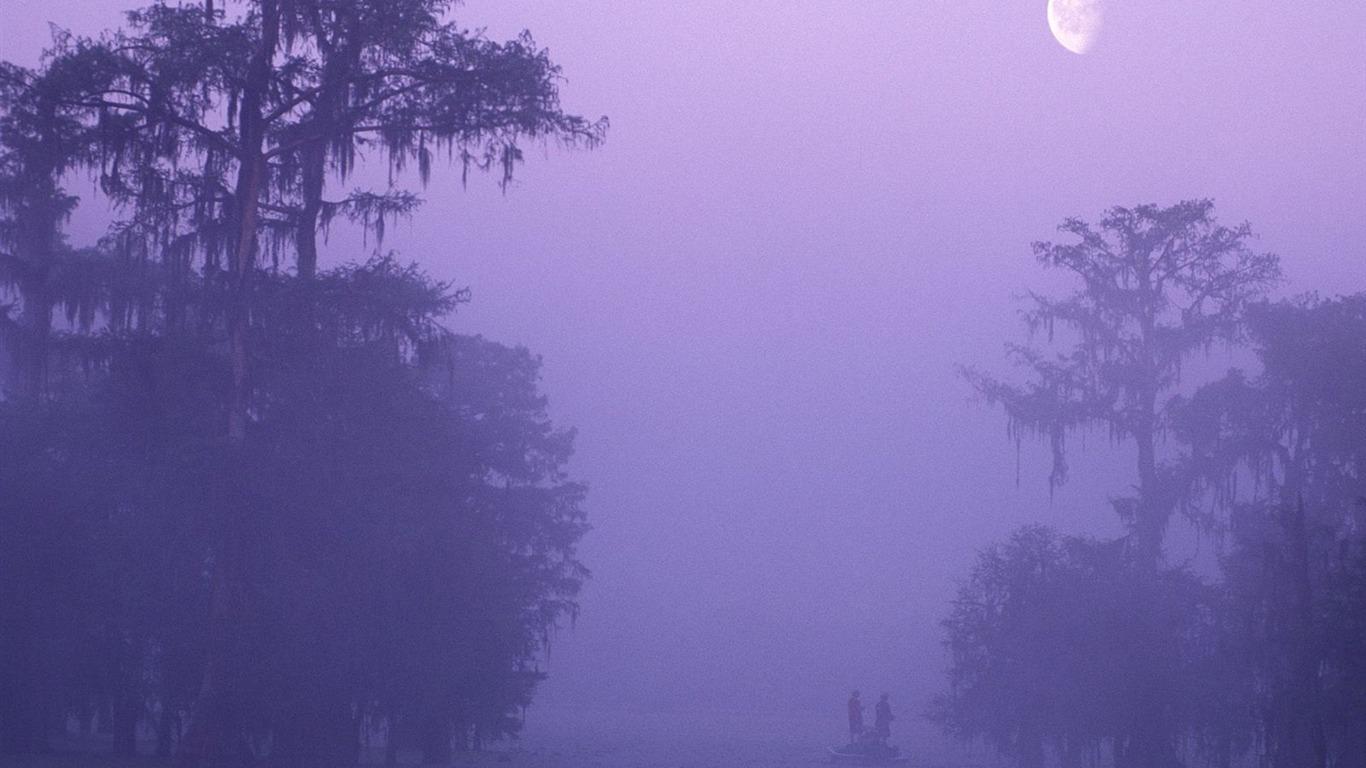 Spring Louisiana Wallpapers - Top Free Spring Louisiana Backgrounds ...