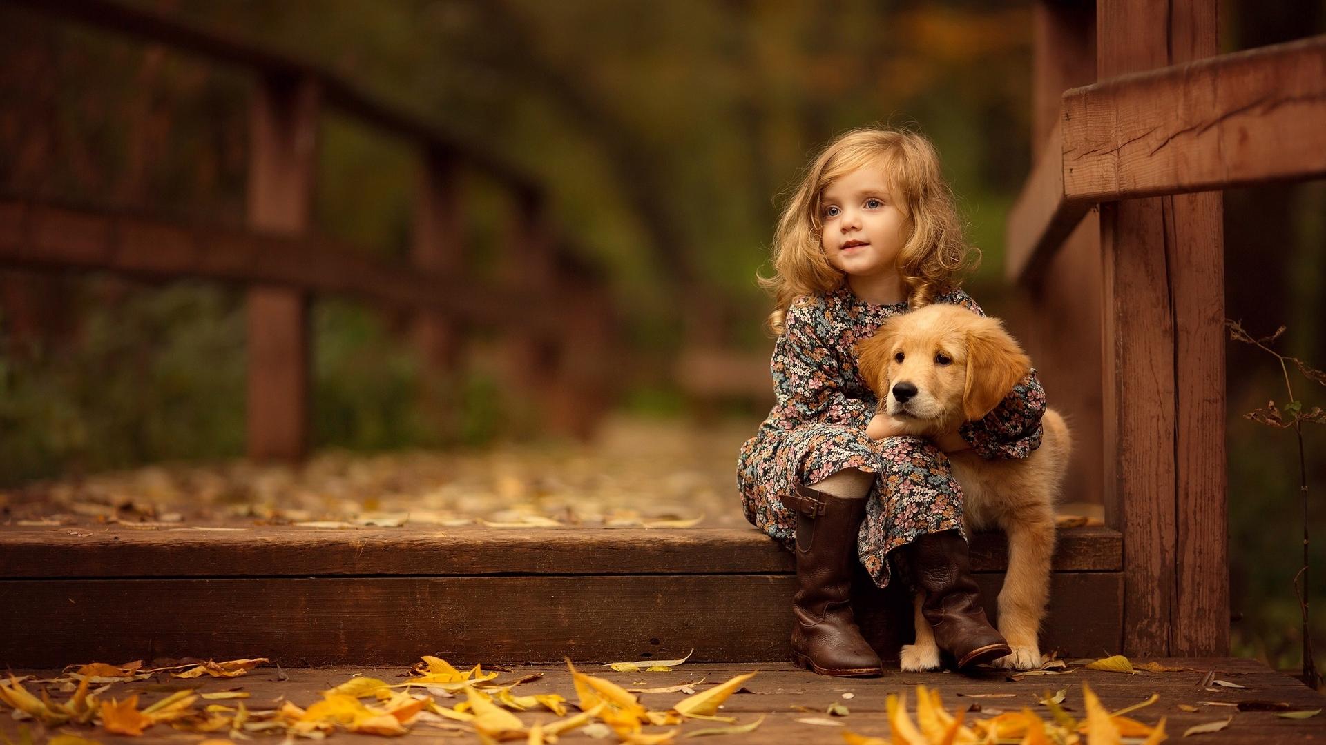 Autumn Puppy Wallpapers - Top Free Autumn Puppy Backgrounds ...