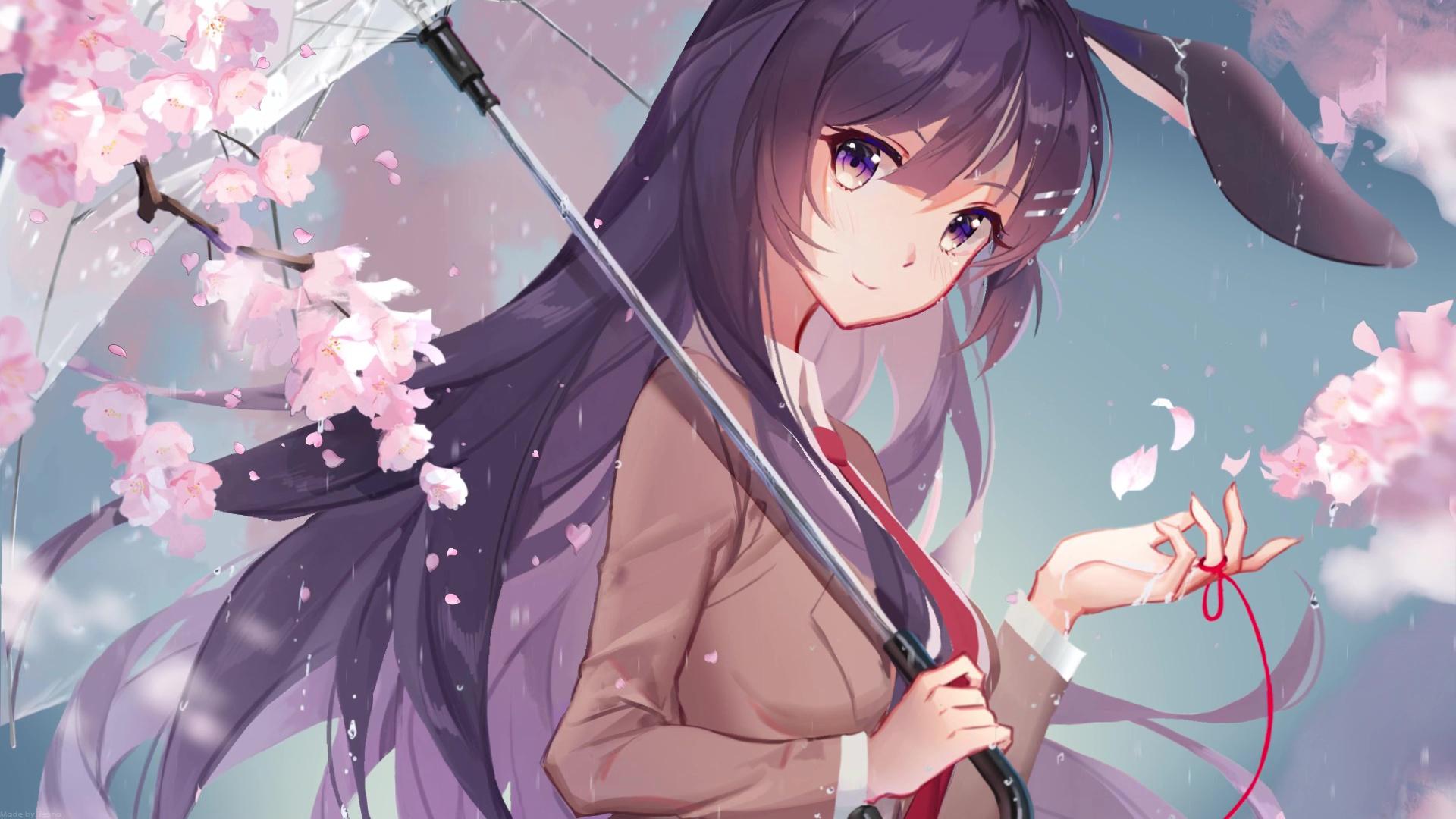 Bunny Senpai Wallpapers - Top Free Bunny Senpai Backgrounds ...