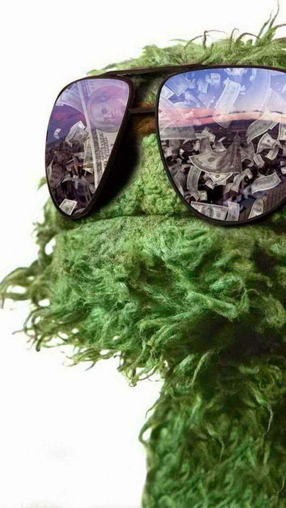 Oscar the Grouch Wallpapers - Top Free Oscar the Grouch Backgrounds ...