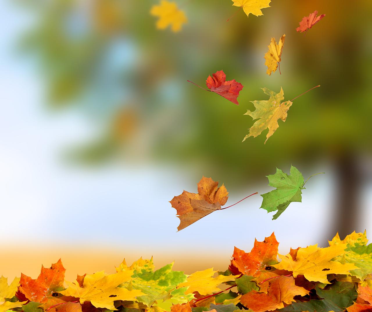 Maid Service Wallpapers - Top Free Maid Service Backgrounds ...