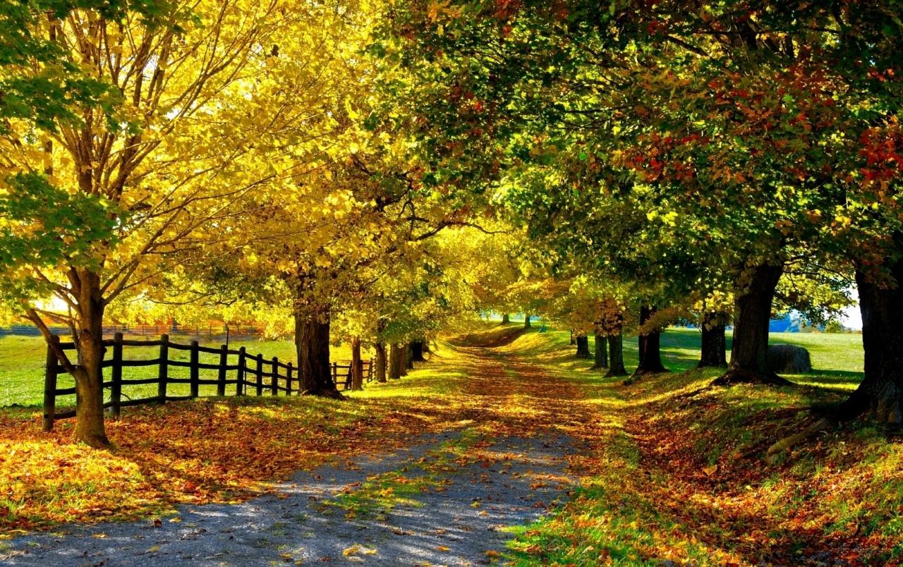 Autumn Sun Wallpapers - Top Free Autumn Sun Backgrounds - WallpaperAccess