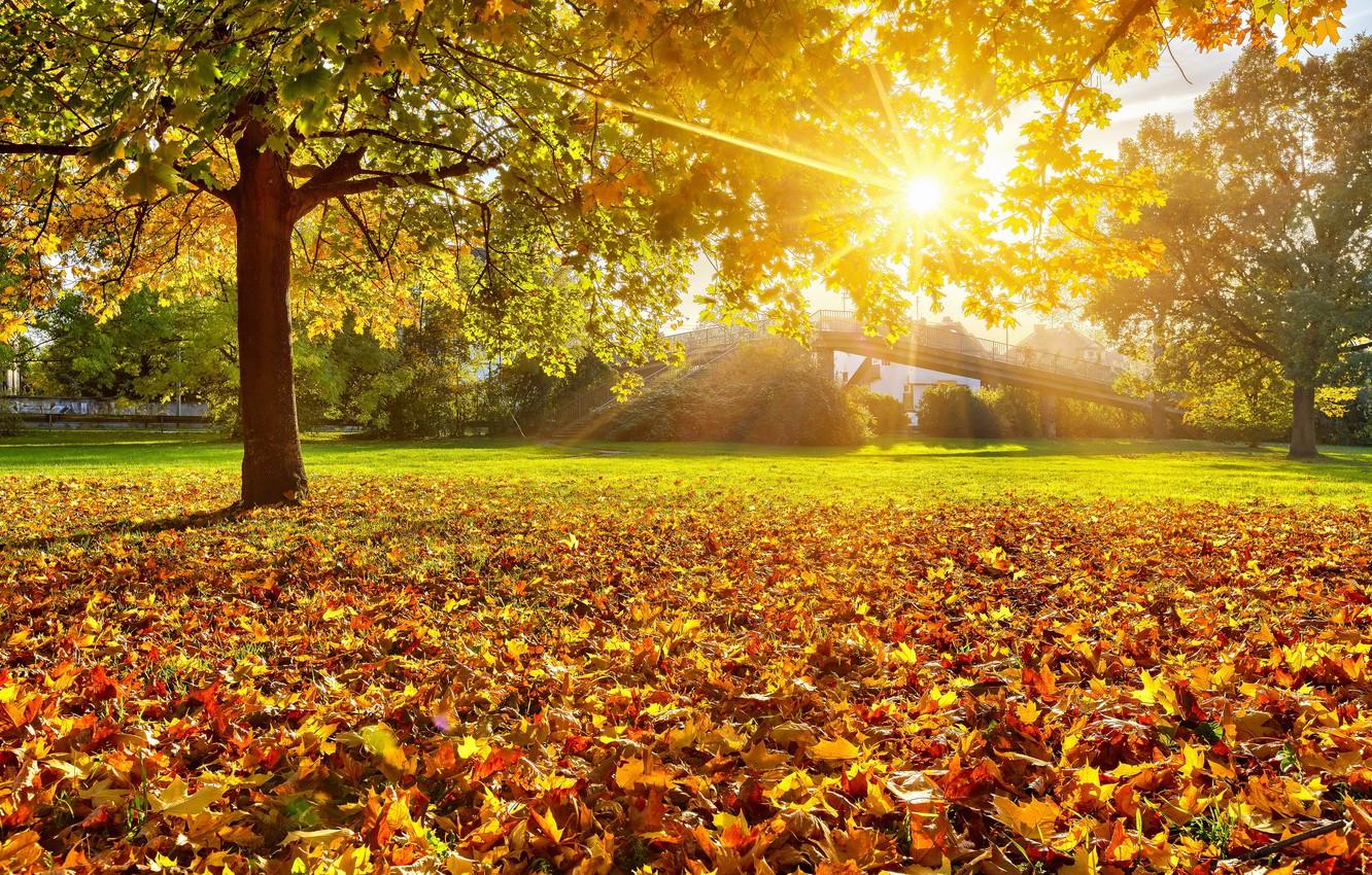 Autumn Sunshine Wallpapers - Top Free Autumn Sunshine Backgrounds ...