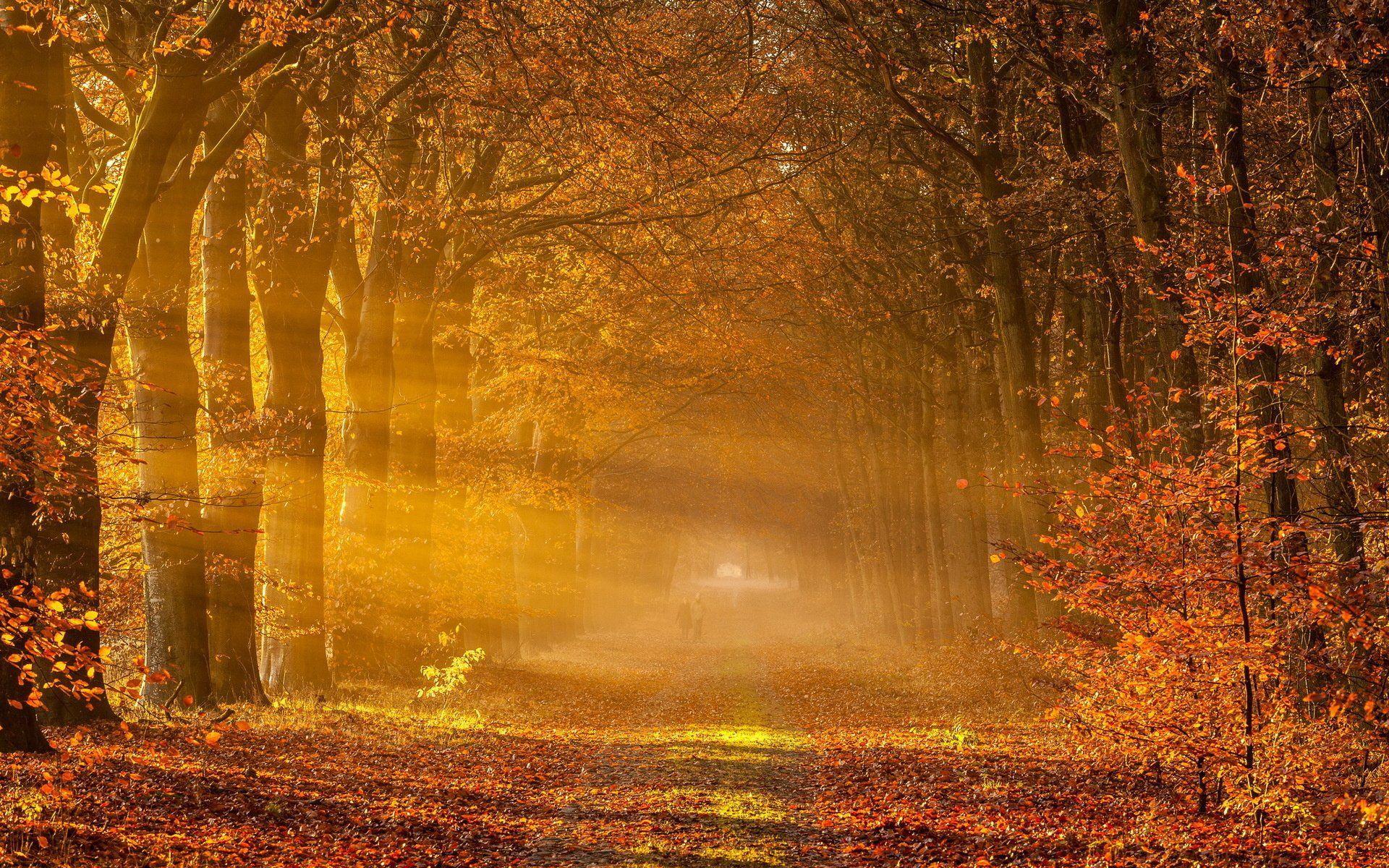 Autumn Sun Wallpapers - Top Free Autumn Sun Backgrounds - WallpaperAccess