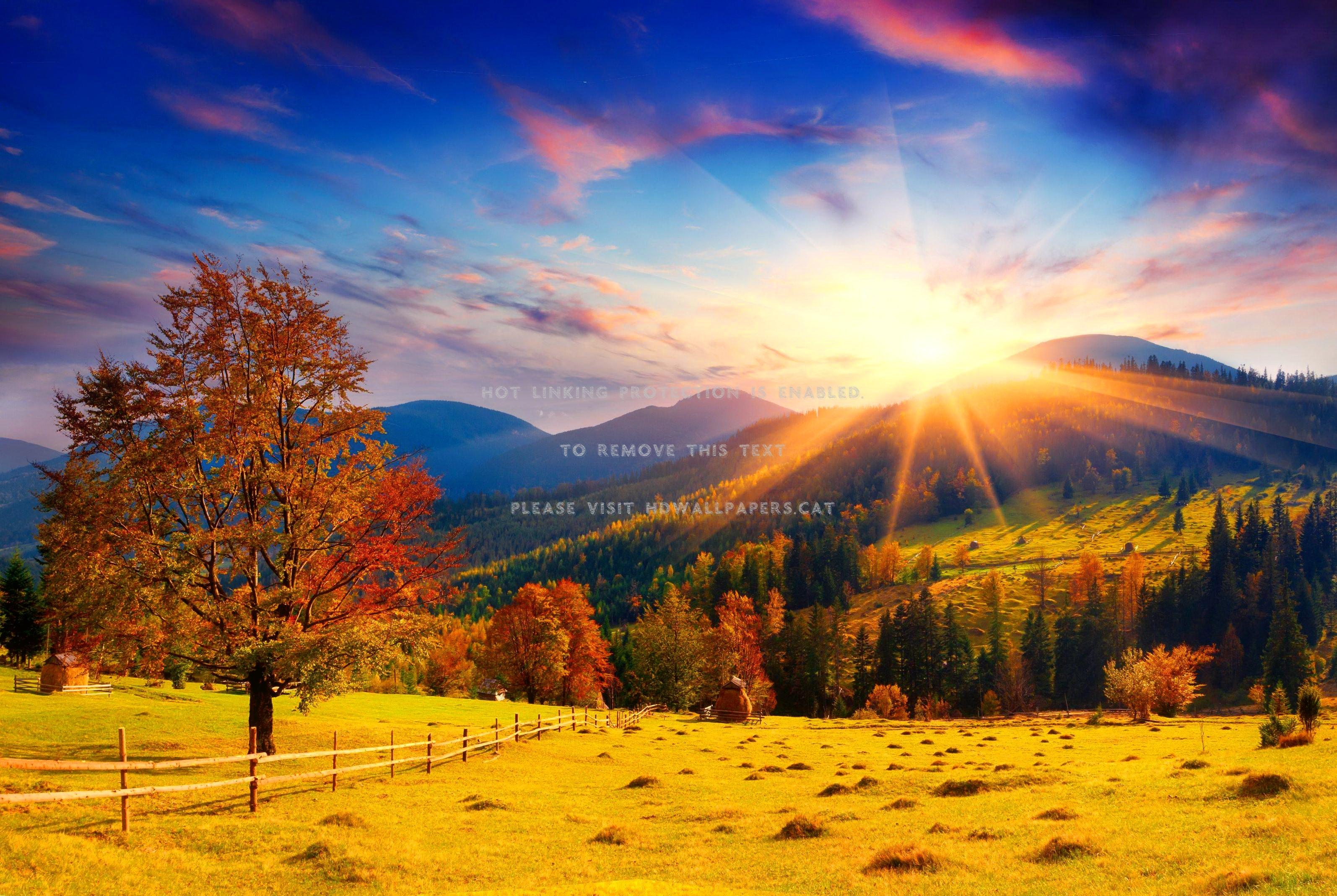 Autumn Sun Wallpapers - Top Free Autumn Sun Backgrounds - WallpaperAccess