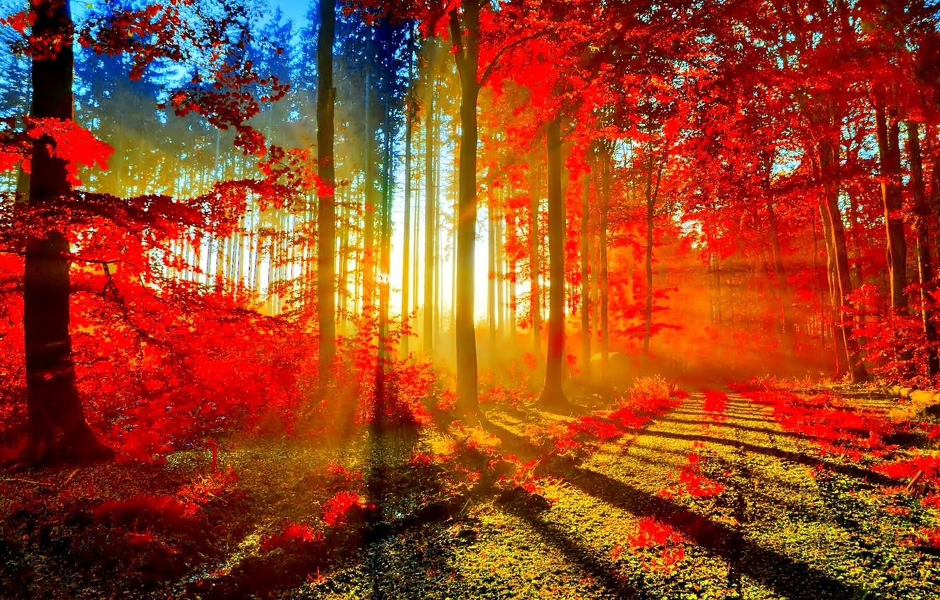 Autumn Sunshine Wallpapers - Top Free Autumn Sunshine Backgrounds ...