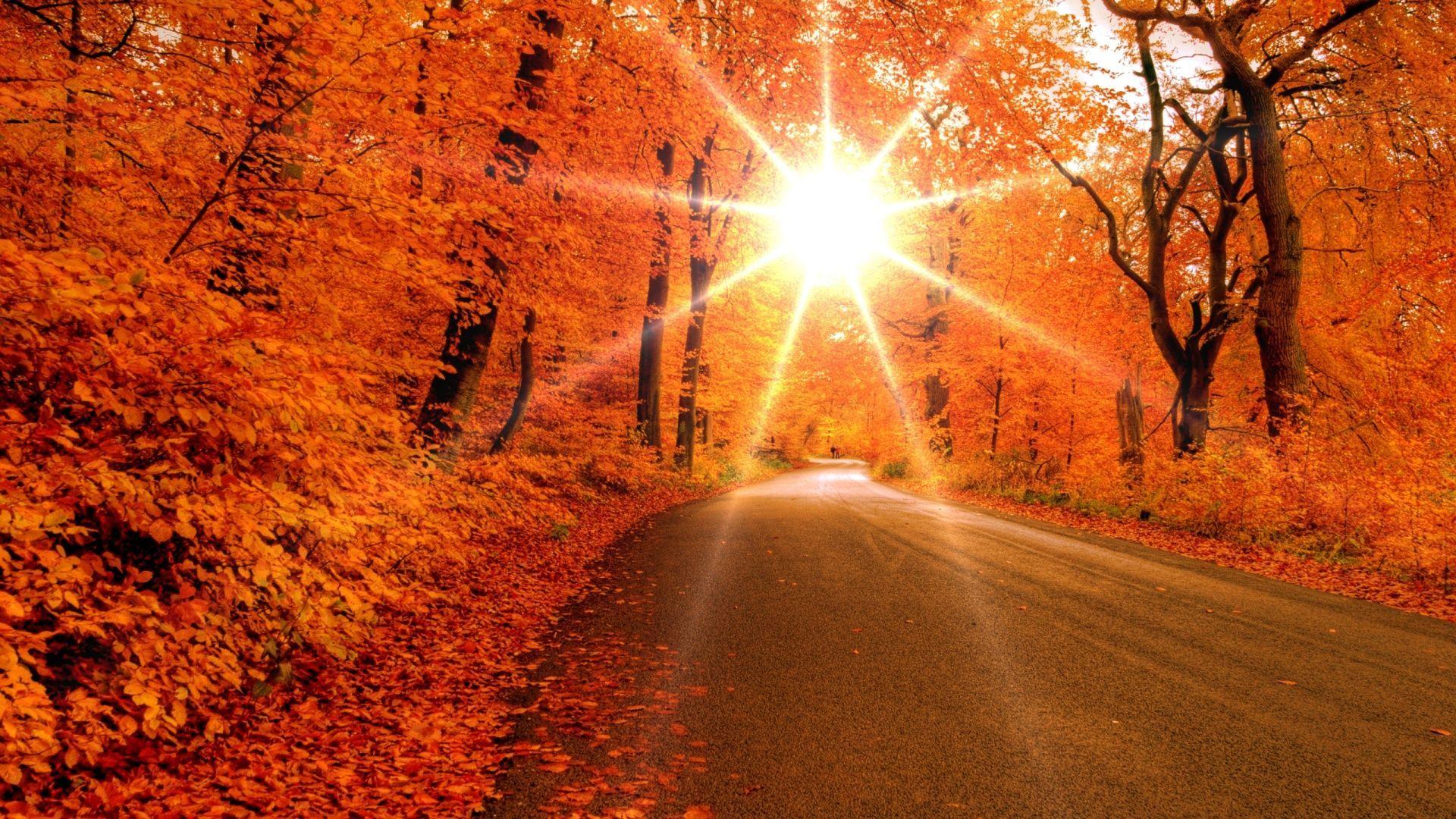 Autumn Sun Wallpapers - Top Free Autumn Sun Backgrounds - WallpaperAccess