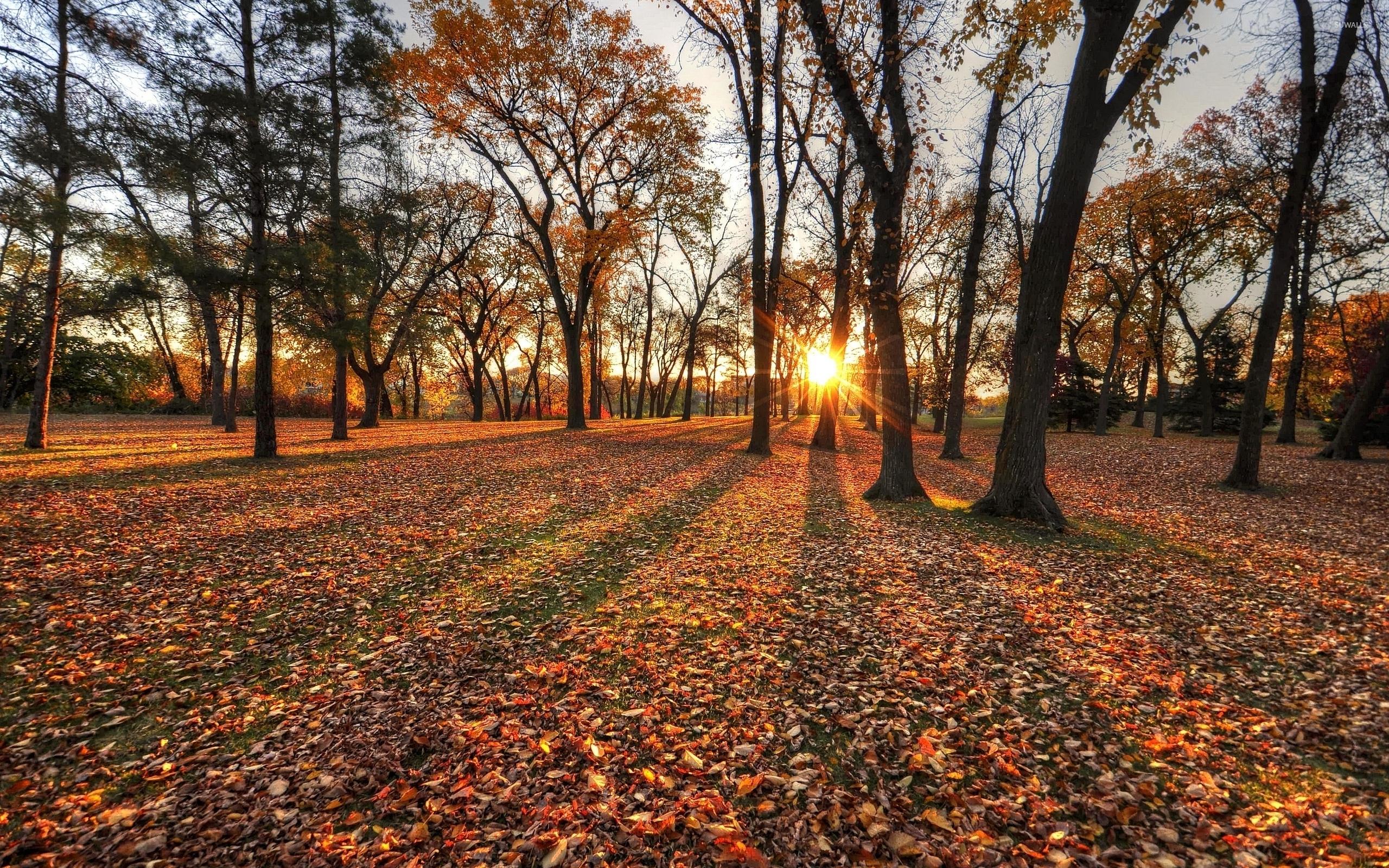 Autumn Sun Wallpapers - Top Free Autumn Sun Backgrounds - WallpaperAccess