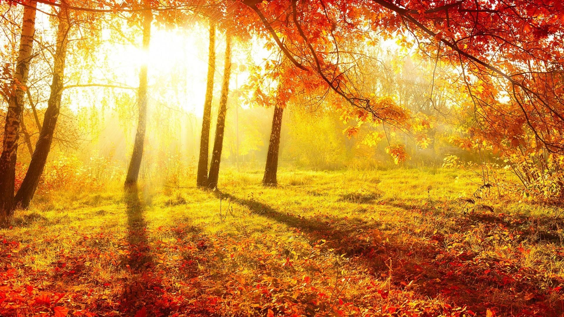 Autumn Sun Wallpapers - Top Free Autumn Sun Backgrounds - WallpaperAccess