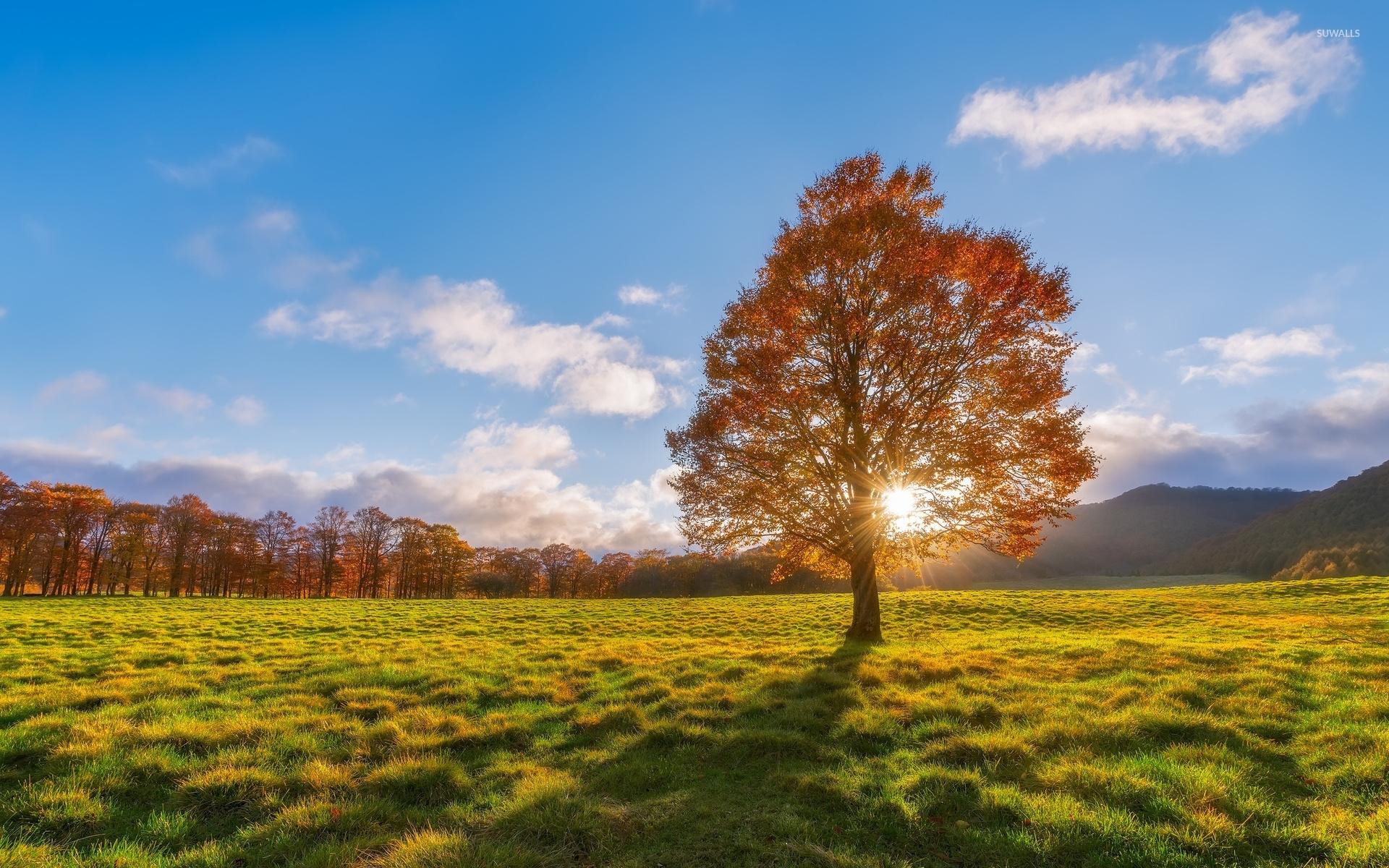 Autumn Sun Wallpapers - Top Free Autumn Sun Backgrounds - WallpaperAccess