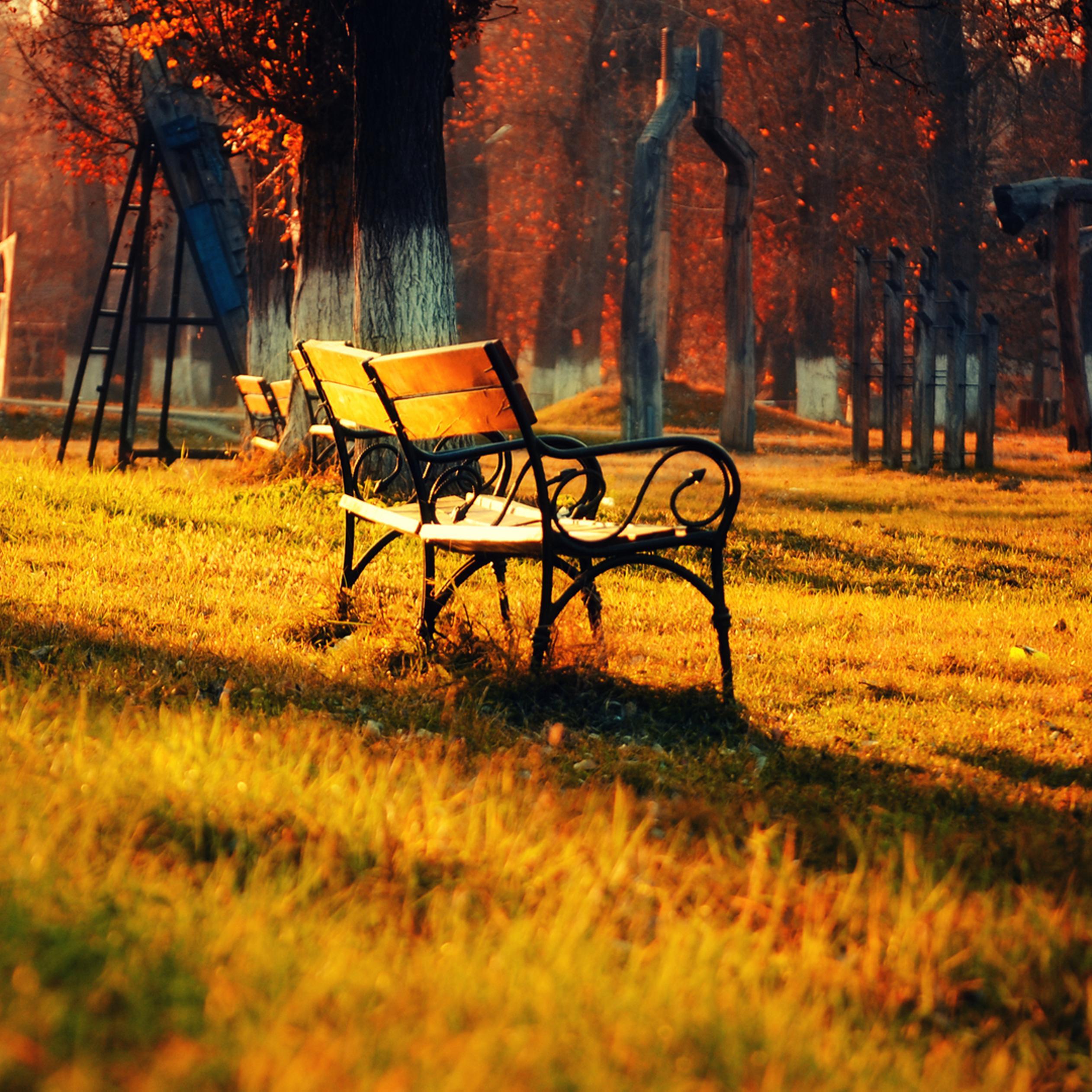 Autumn Sun Wallpapers - Top Free Autumn Sun Backgrounds - WallpaperAccess