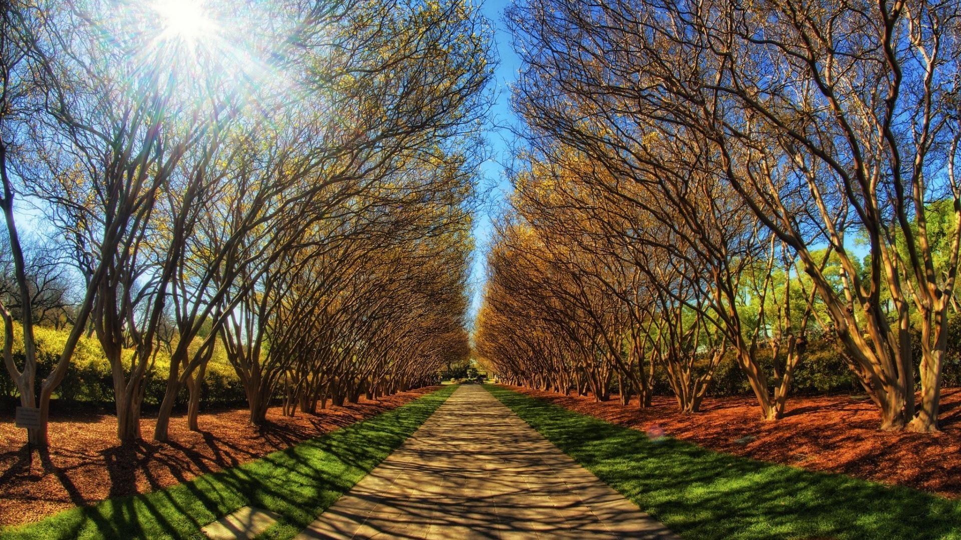 Autumn Sun Wallpapers - Top Free Autumn Sun Backgrounds - WallpaperAccess