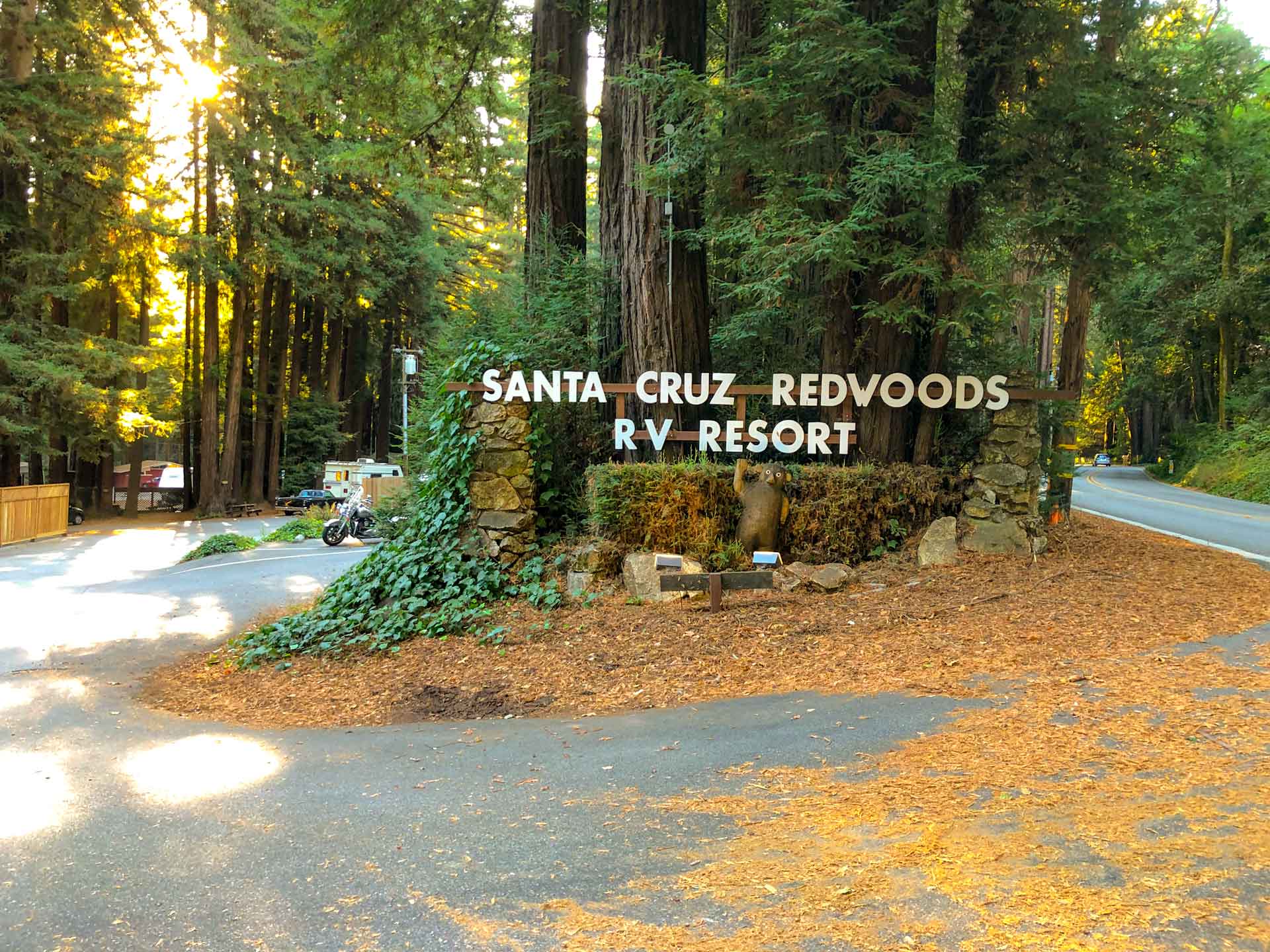Santa Cruz Redwoods Wallpapers - Top Free Santa Cruz Redwoods ...