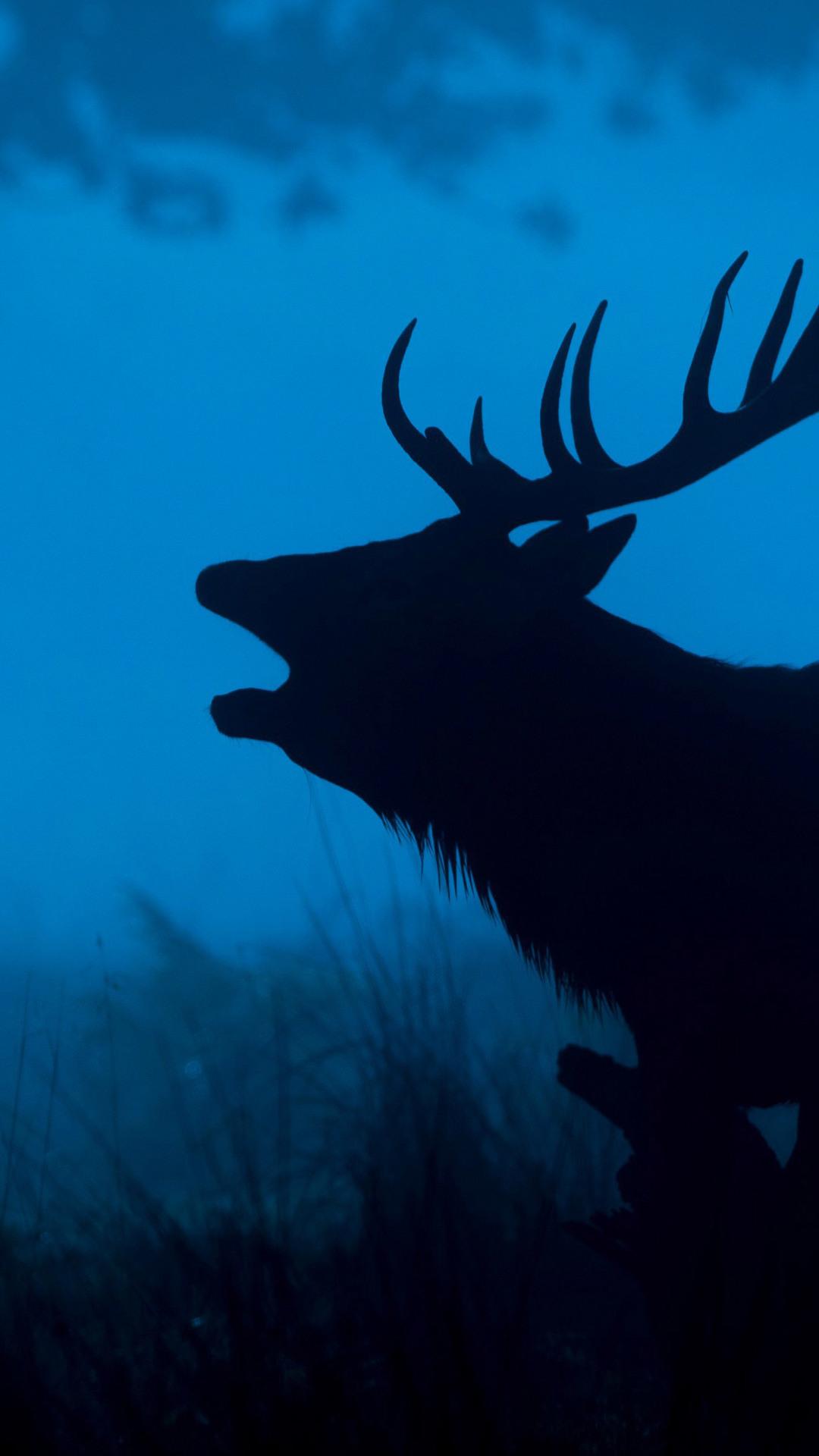 Deer Aesthetic Wallpapers - Top Free Deer Aesthetic Backgrounds ...