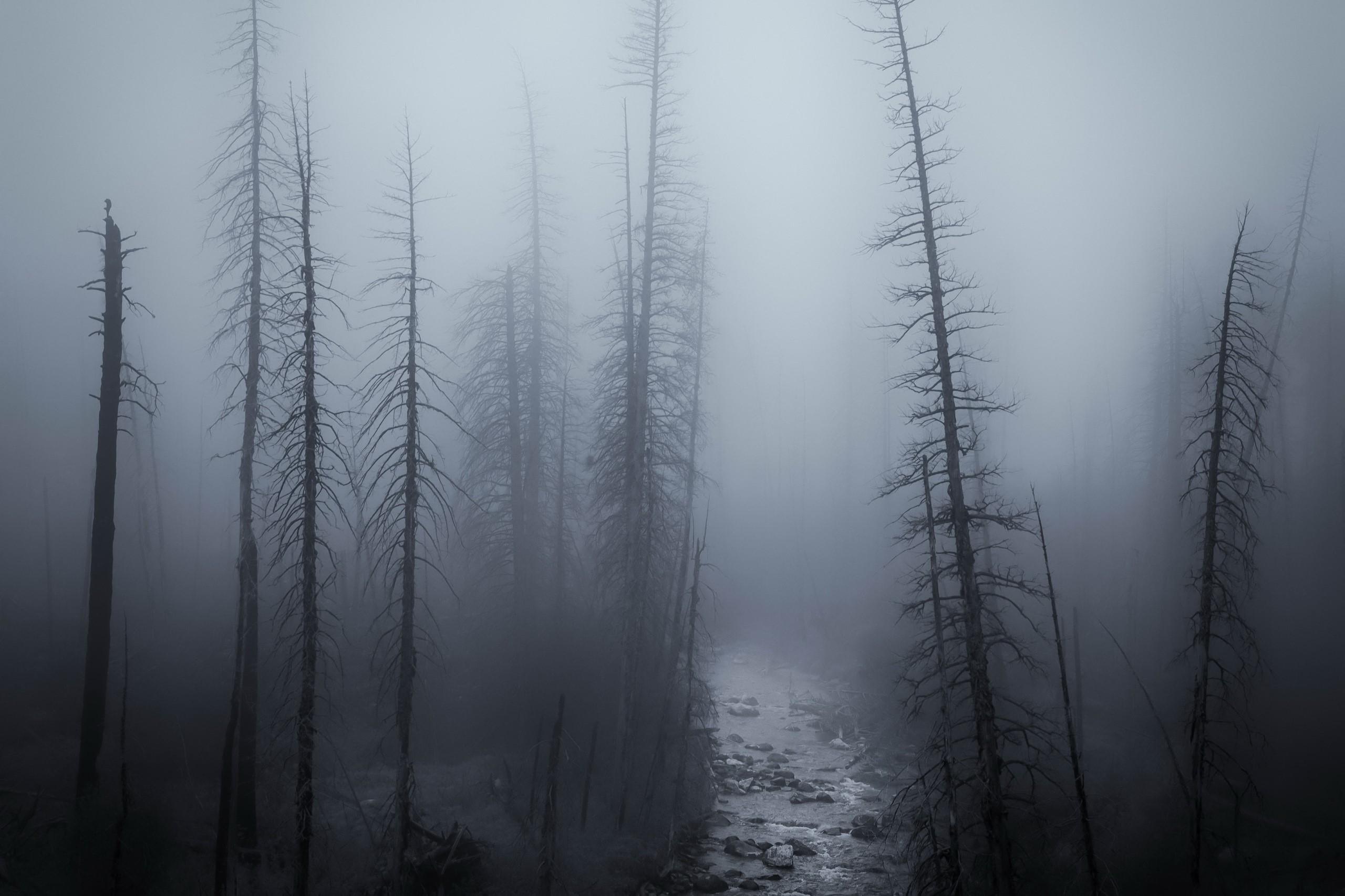 Dark Mist Wallpapers - Top Free Dark Mist Backgrounds - WallpaperAccess