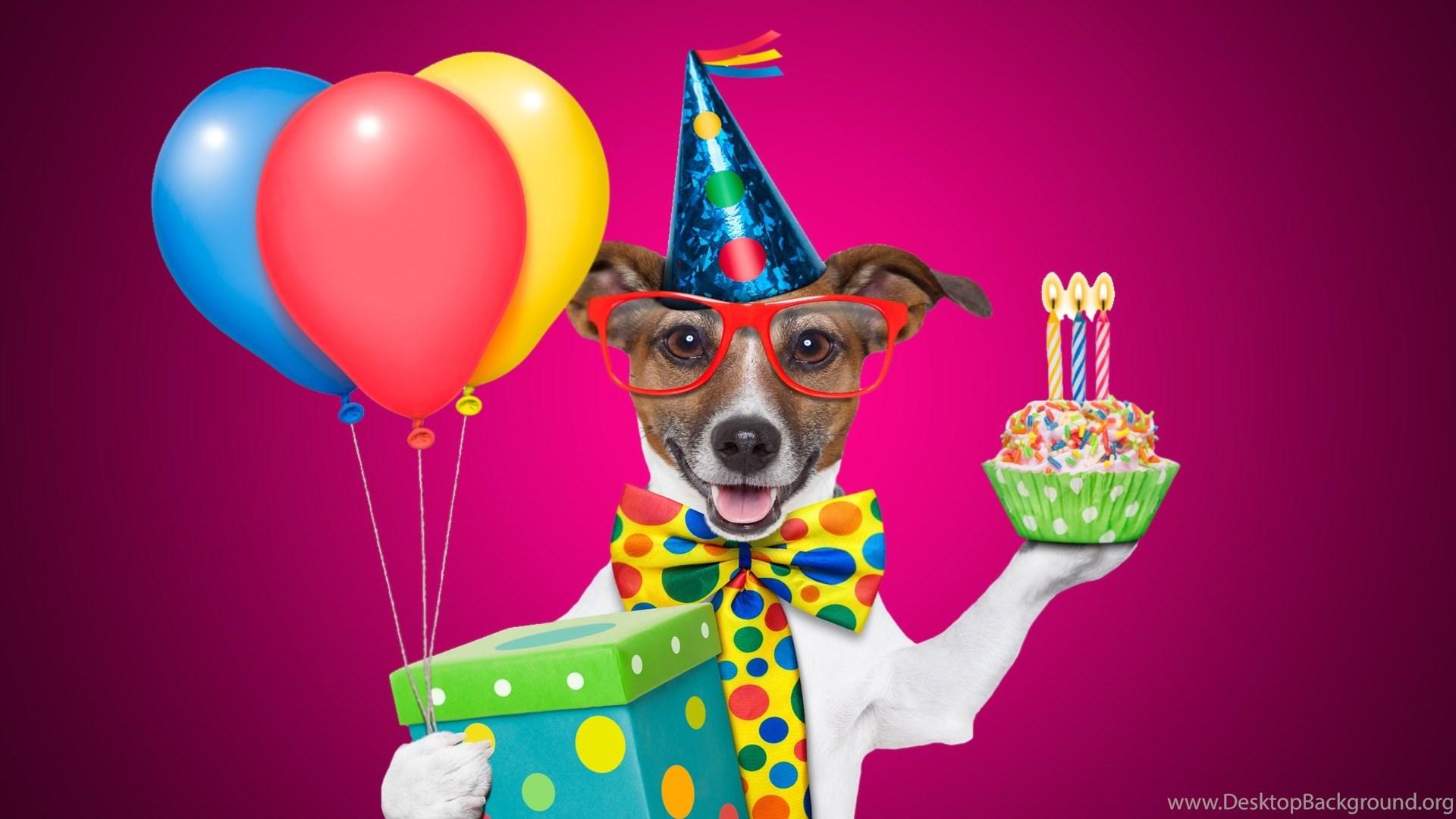 Happy Birthday Cool Wallpapers - Top Free Happy Birthday Cool ...