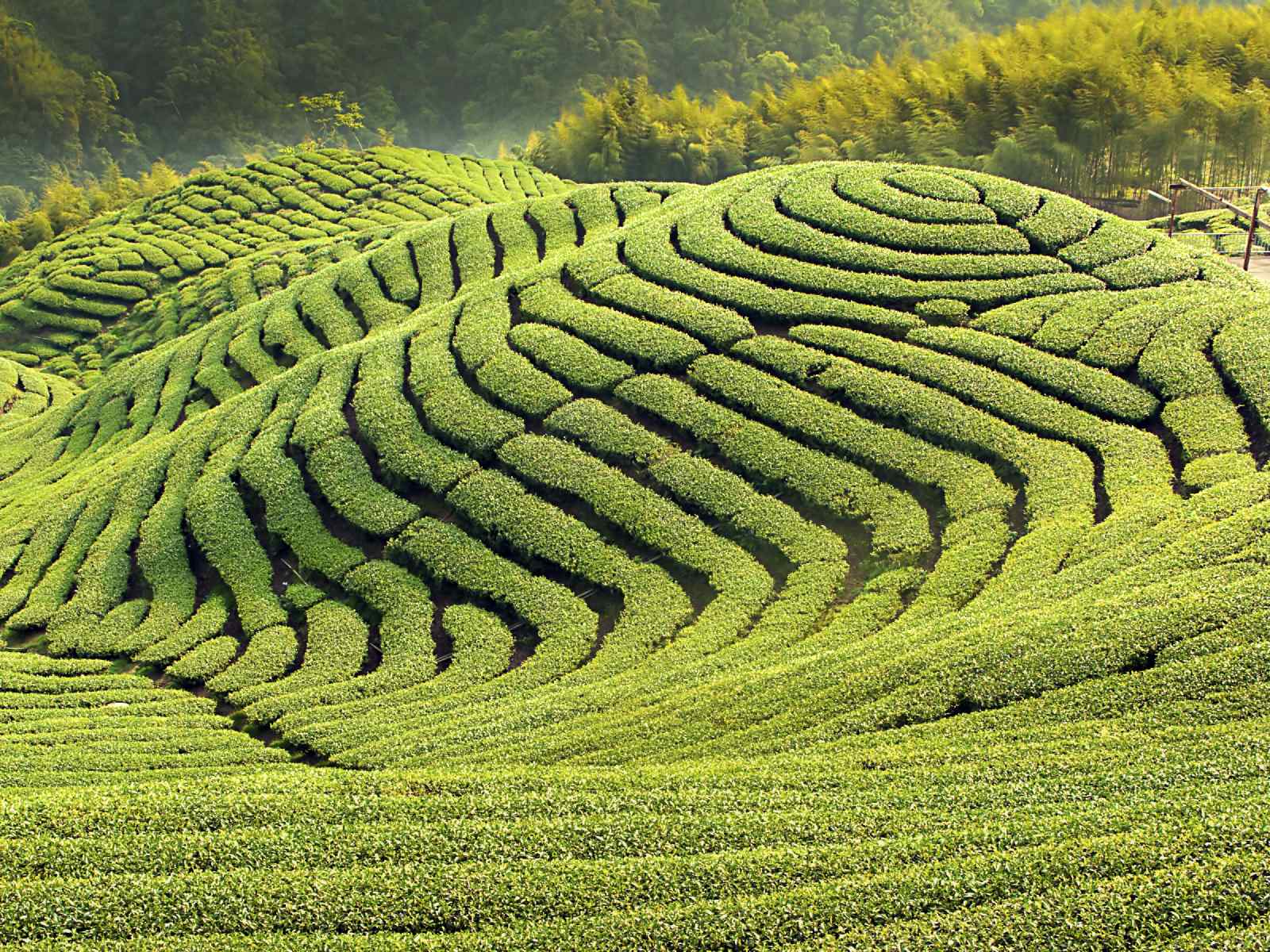 Northeast Wallpapers - Top Free Northeast Backgrounds - WallpaperAccess