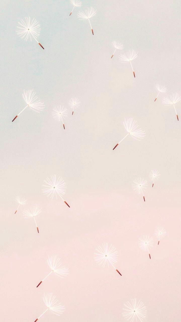 Tumblr Aesthetic Pastel Wallpapers - Top Free Tumblr Aesthetic Pastel ...