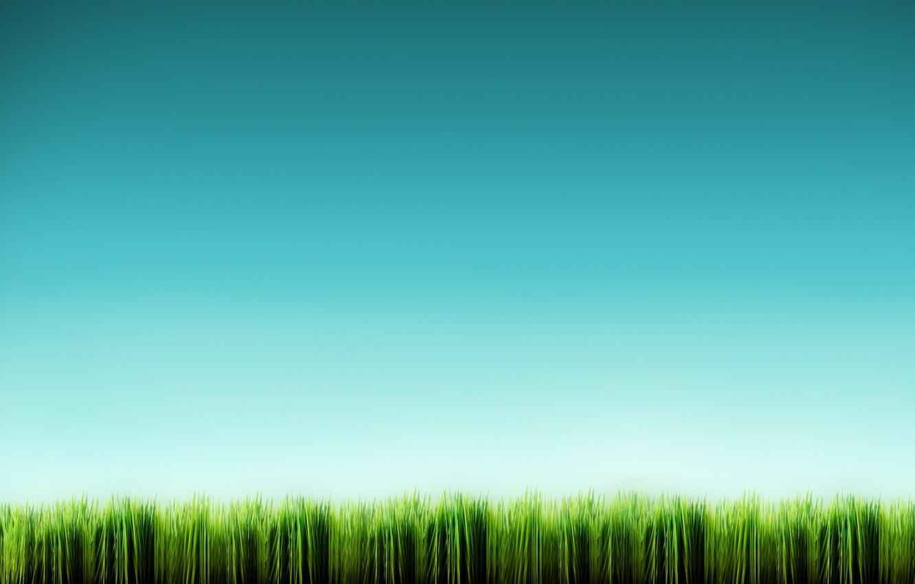 Minimalist Grass Wallpapers - Top Free Minimalist Grass Backgrounds ...