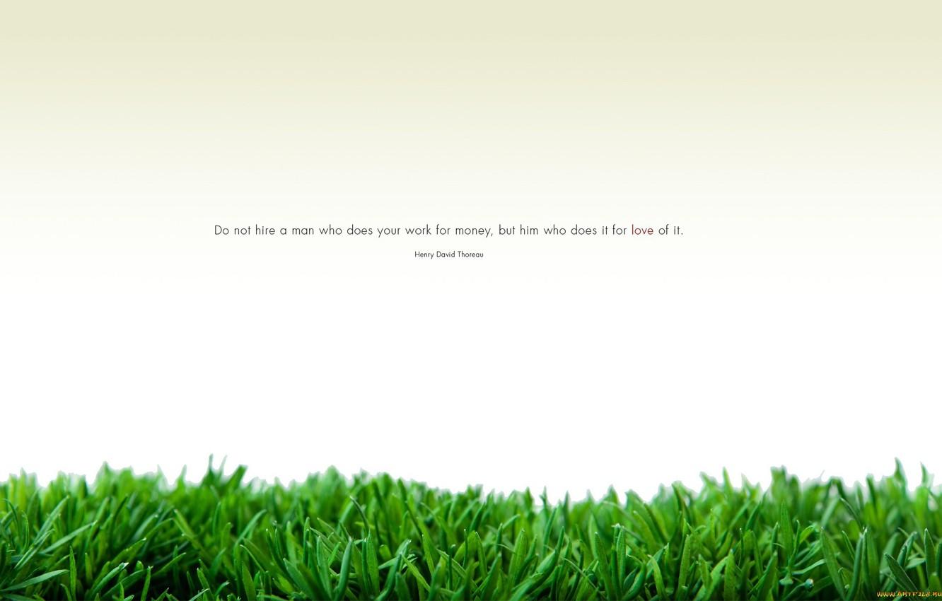 Minimalist Grass Wallpapers - Top Free Minimalist Grass Backgrounds ...