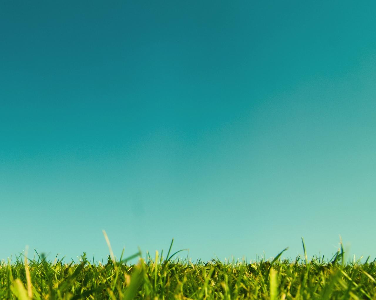 Minimalist Grass Wallpapers - Top Free Minimalist Grass Backgrounds ...