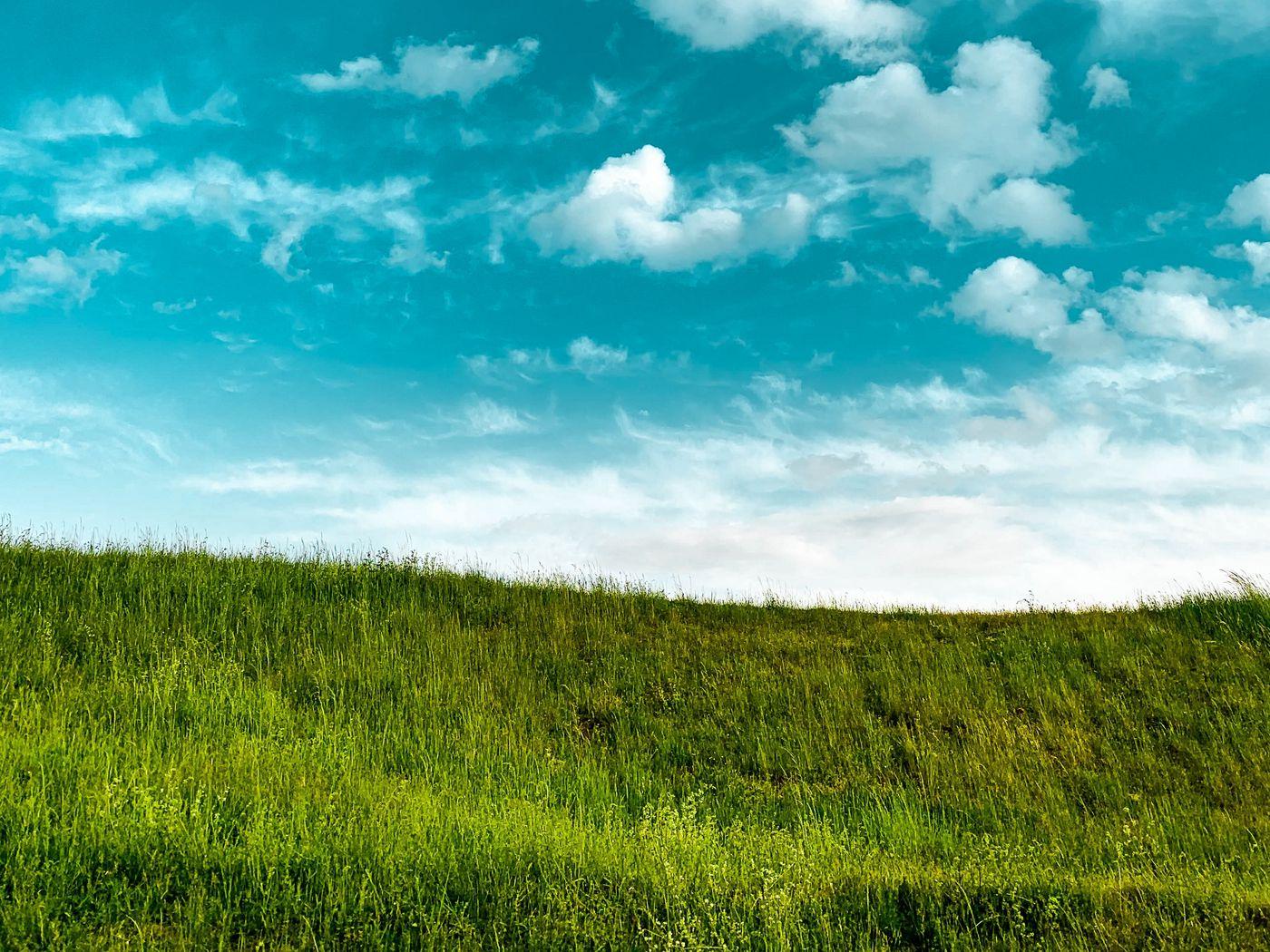 Minimalist Grass Wallpapers - Top Free Minimalist Grass Backgrounds ...