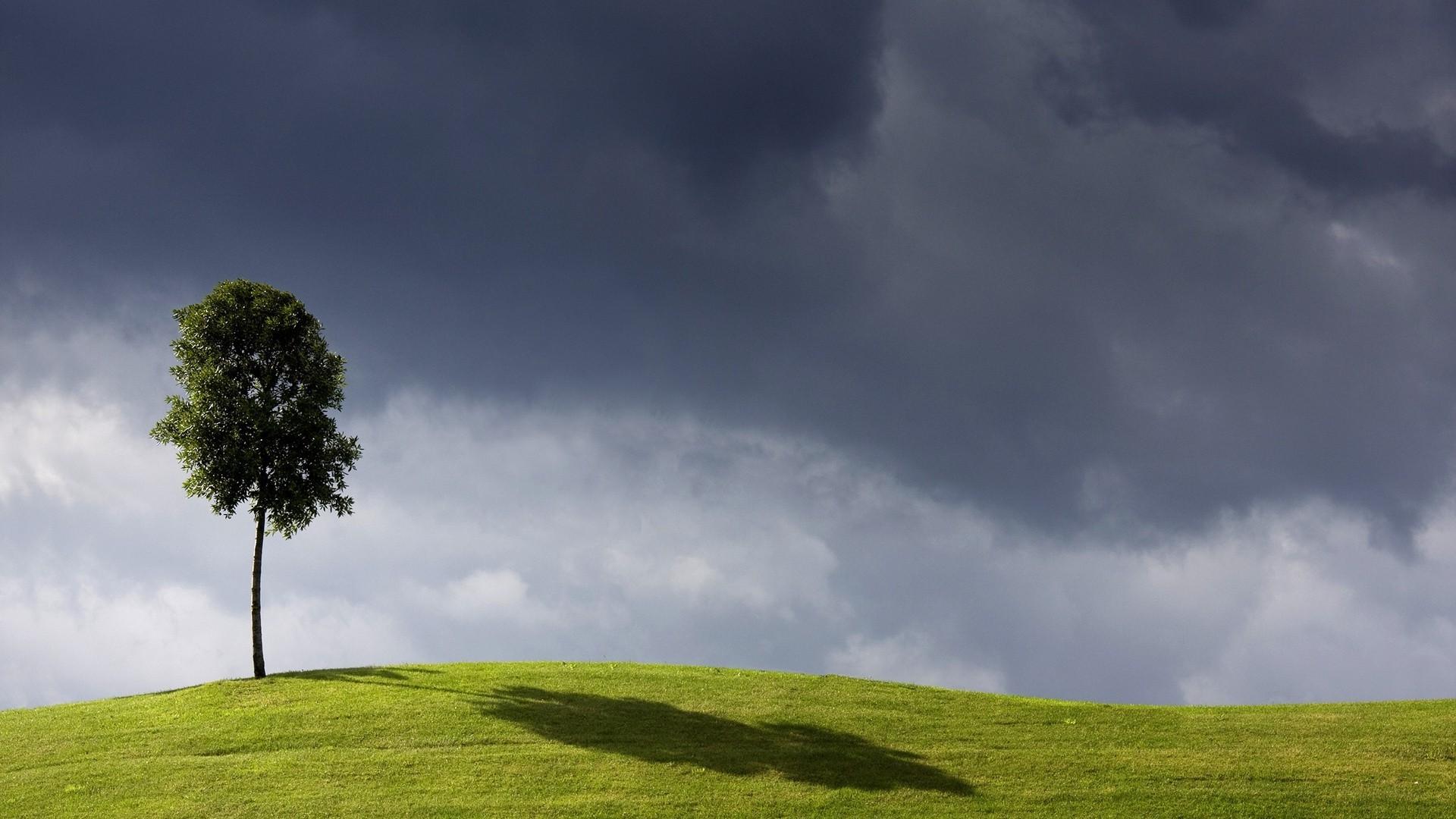 Minimalist Grass Wallpapers - Top Free Minimalist Grass Backgrounds ...