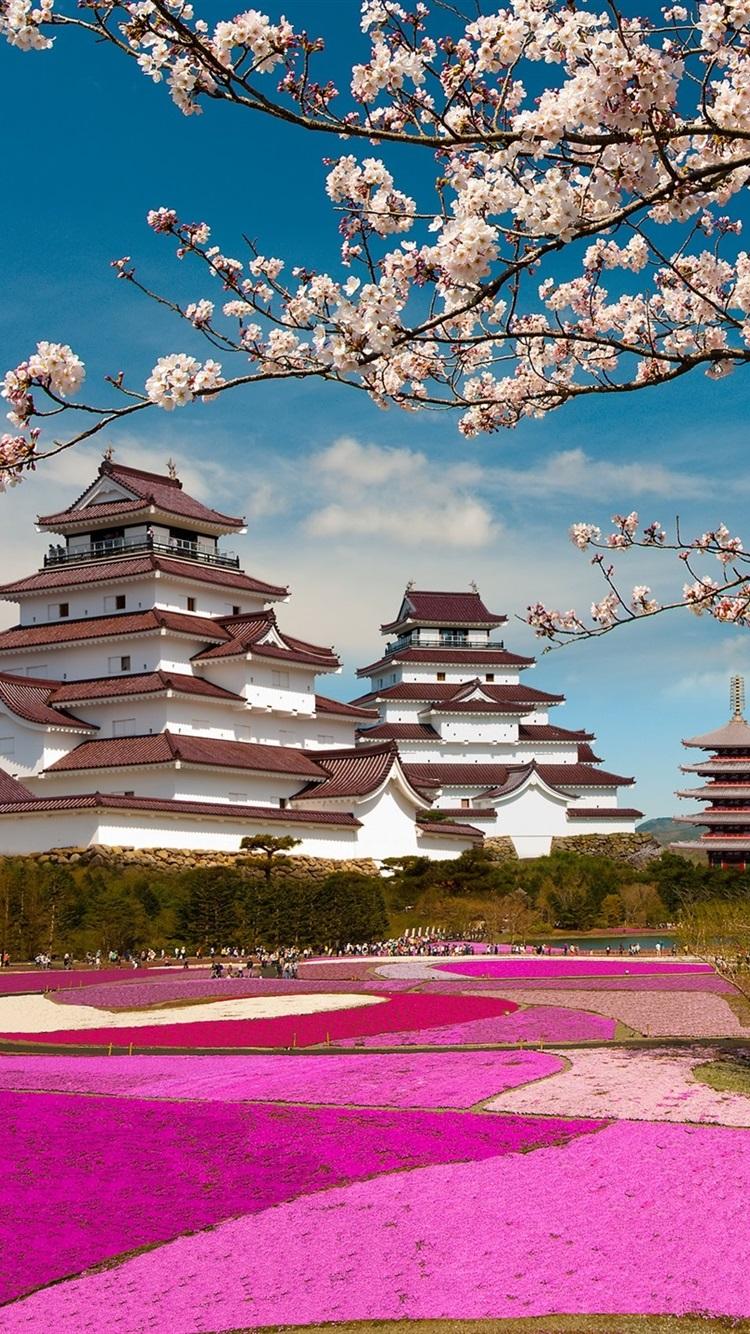 Japan Cherry Blossom iPhone Wallpapers - Top Free Japan Cherry Blossom ...