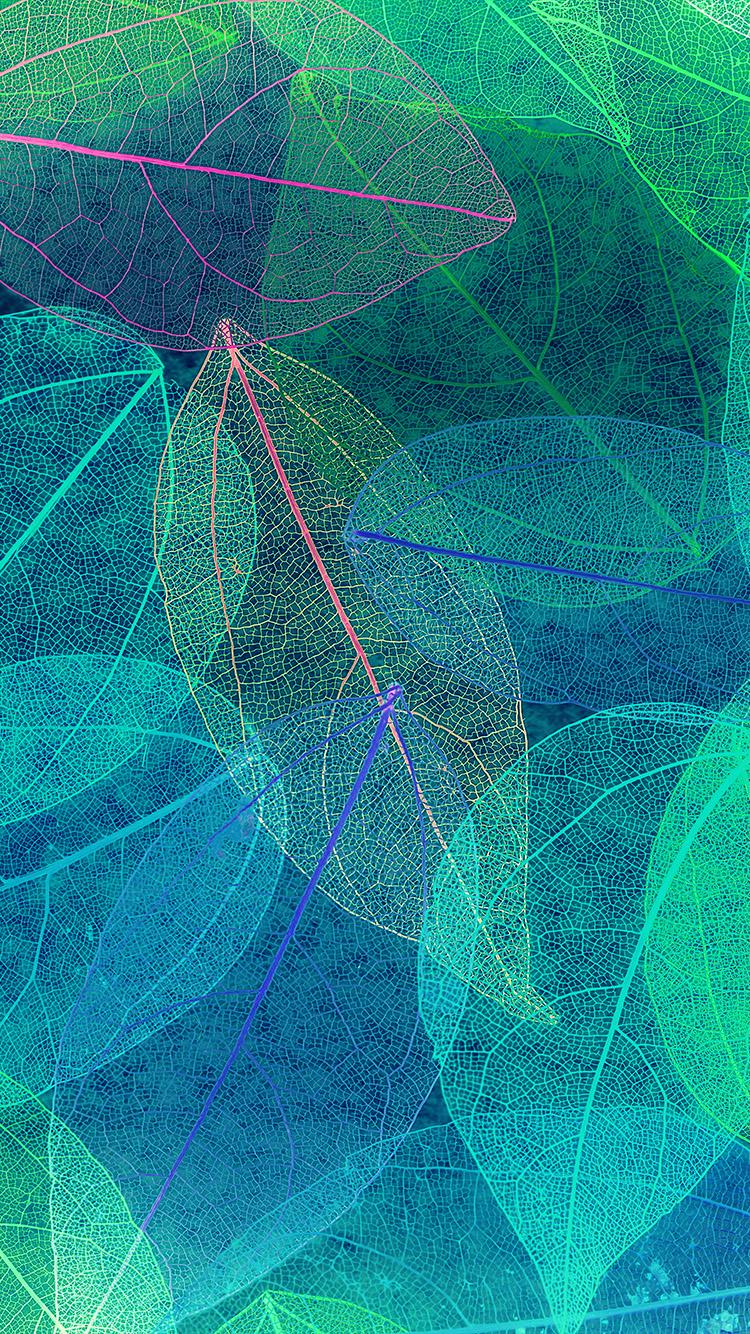 Nature Pattern Wallpapers - Top Free Nature Pattern Backgrounds ...