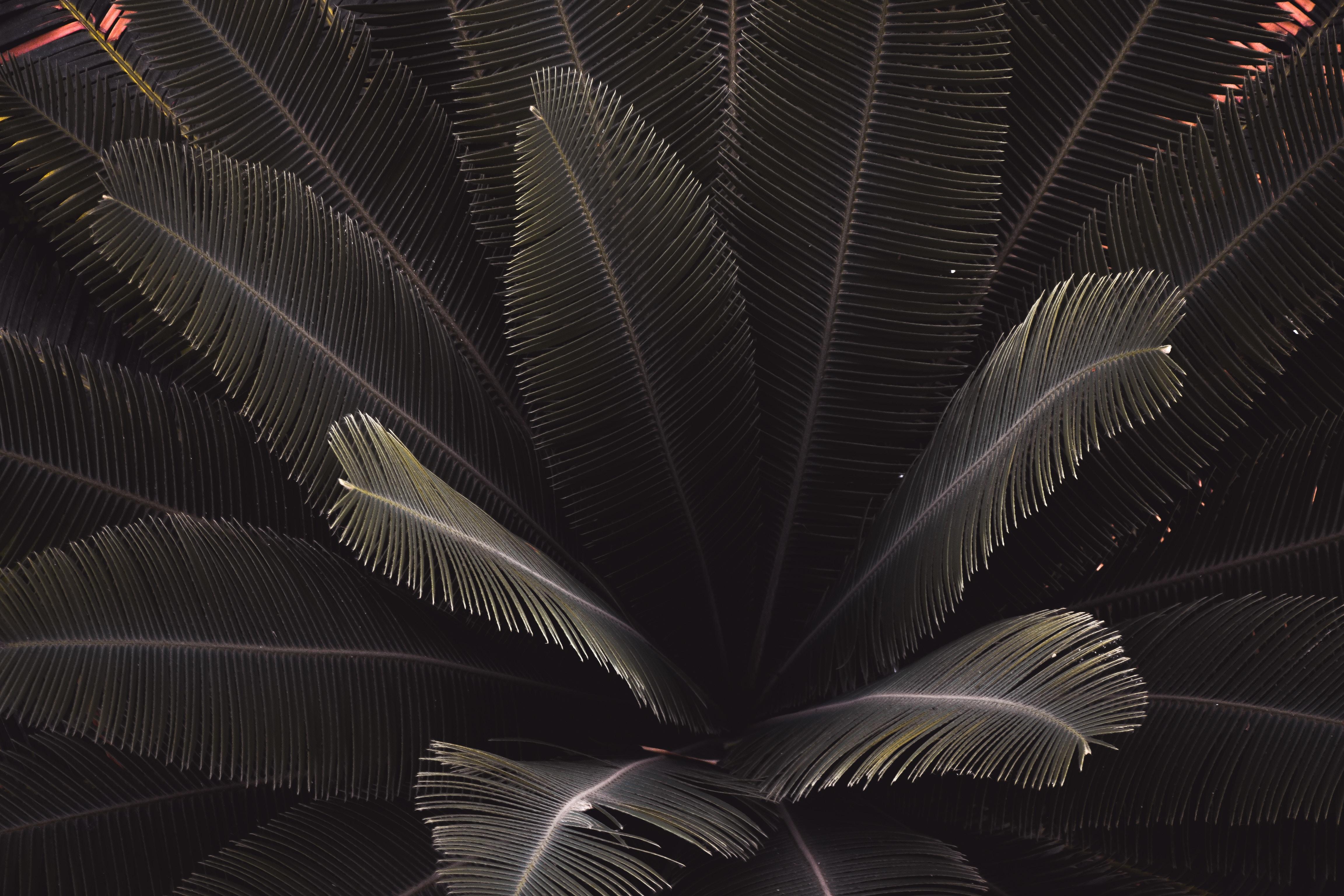 Nature Pattern Wallpapers - Top Free Nature Pattern Backgrounds ...