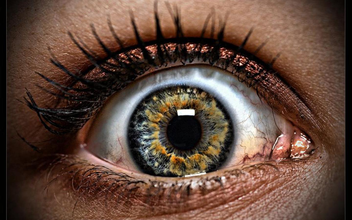 Horror Eye Wallpapers - Top Free Horror Eye Backgrounds - WallpaperAccess