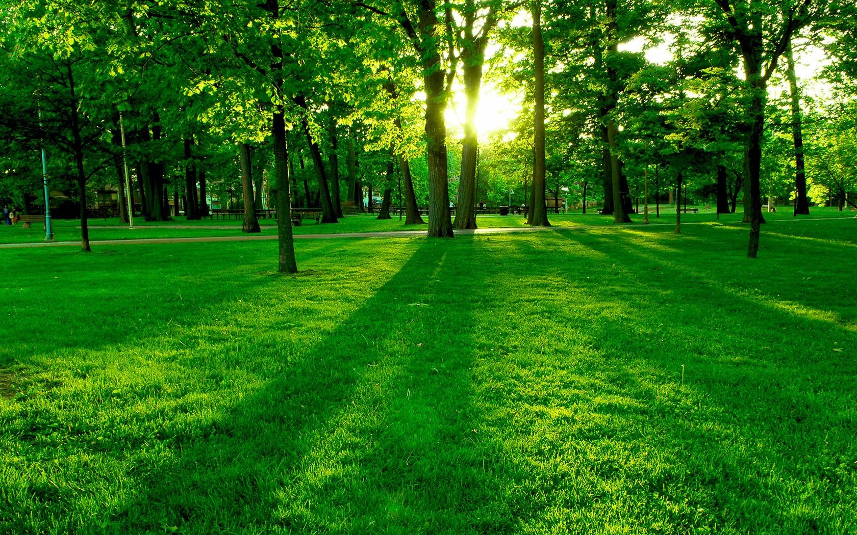 Green Park Wallpapers - Top Free Green Park Backgrounds - WallpaperAccess