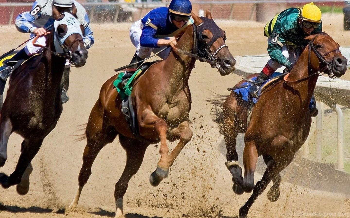 Horse Race Wallpapers - Top Free Horse Race Backgrounds - WallpaperAccess