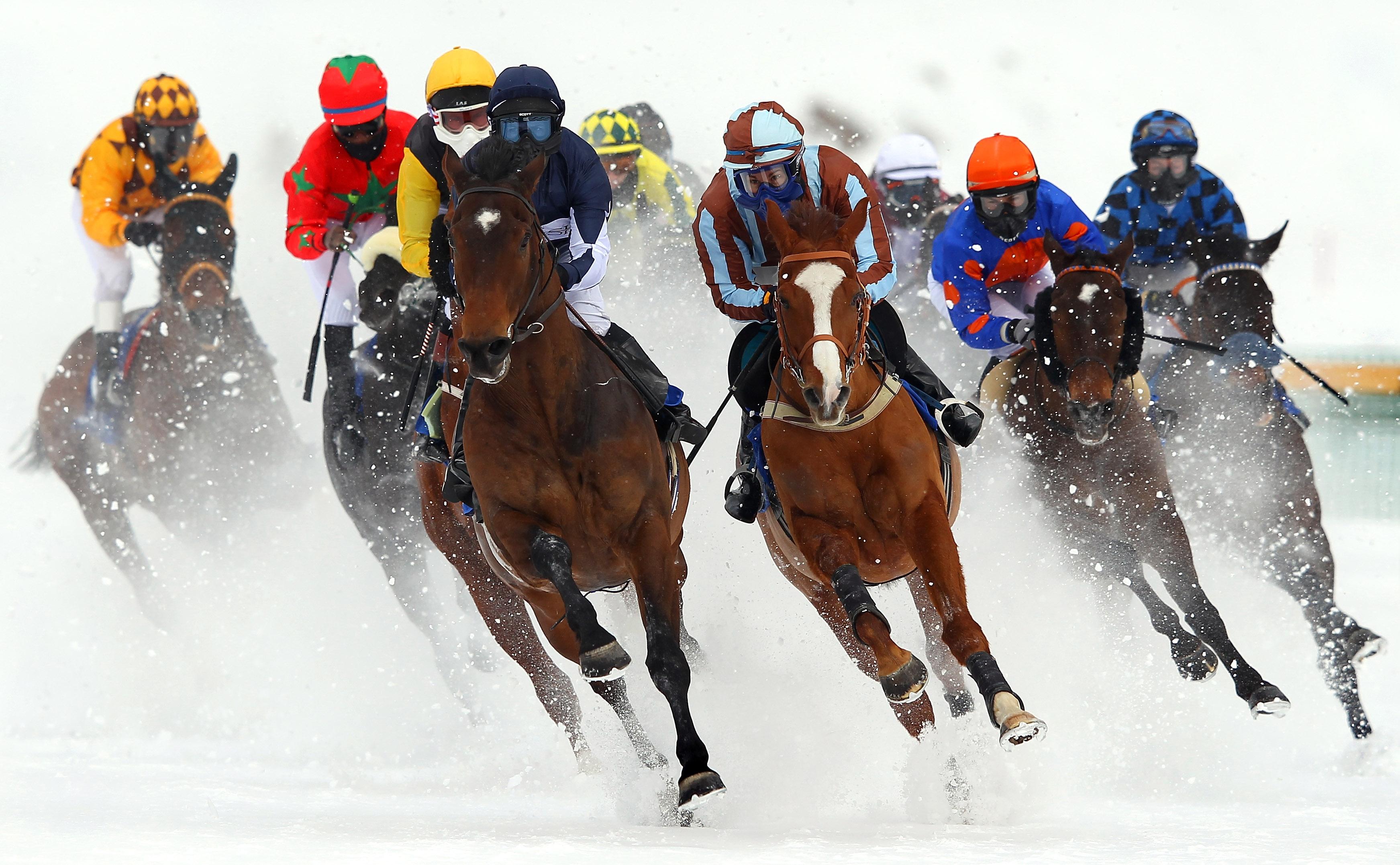 Horse Race Wallpapers - Top Free Horse Race Backgrounds - WallpaperAccess