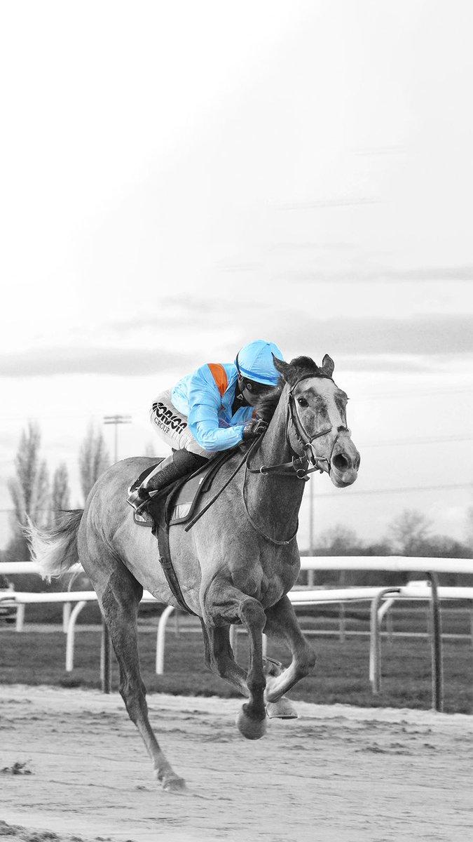 Horse Race Wallpapers - Top Free Horse Race Backgrounds - WallpaperAccess