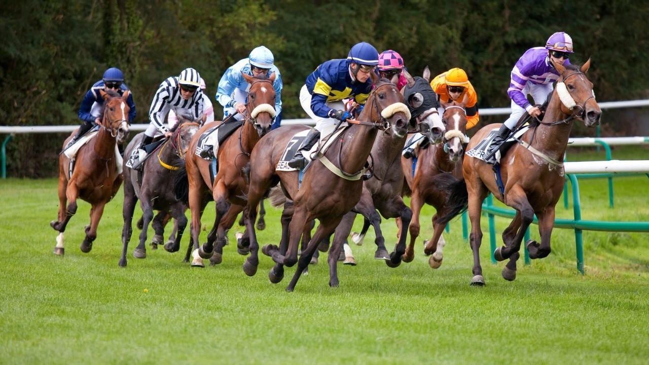 Horse Race Wallpapers - Top Free Horse Race Backgrounds - WallpaperAccess