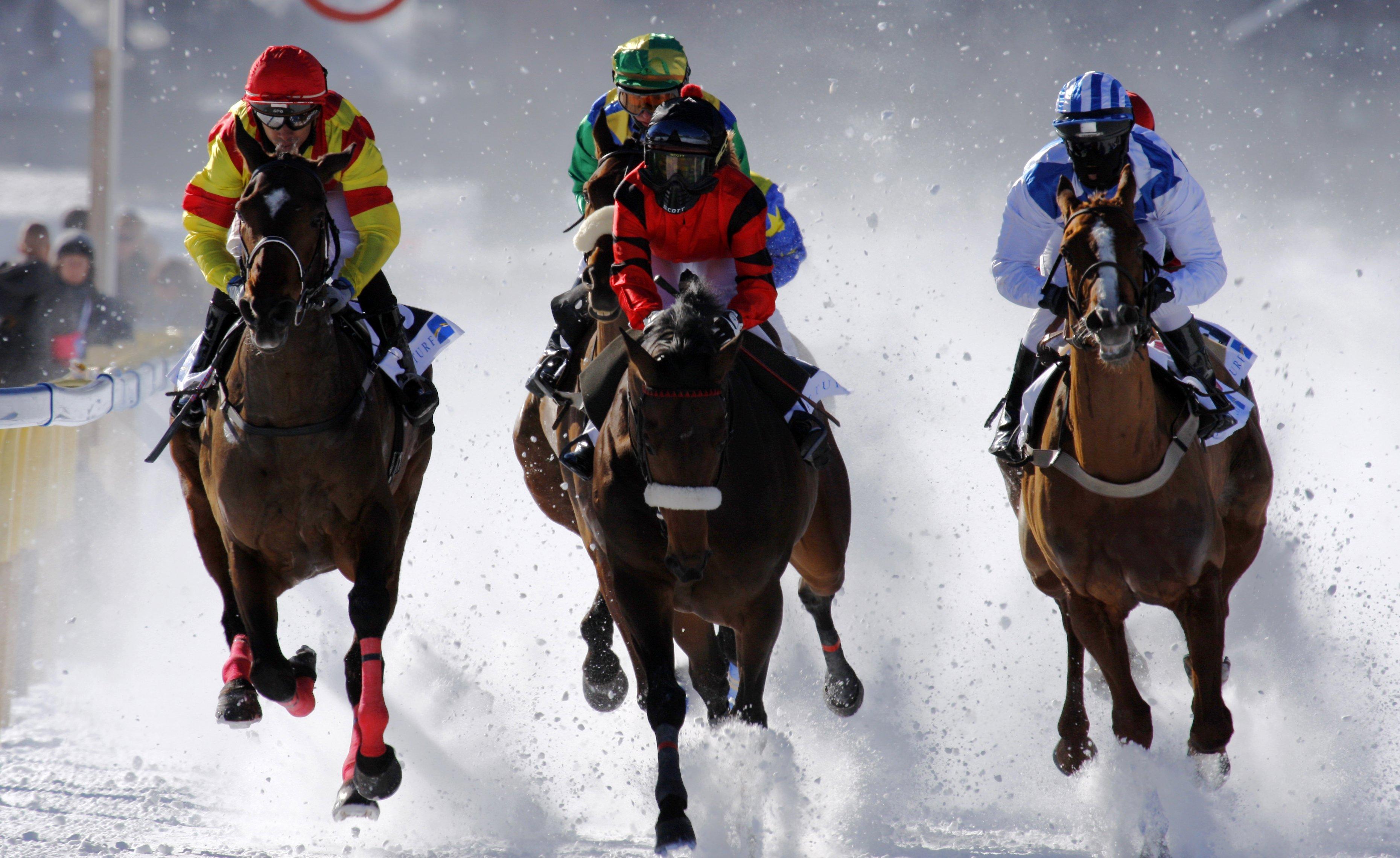 Horse Race Wallpapers - Top Free Horse Race Backgrounds - WallpaperAccess