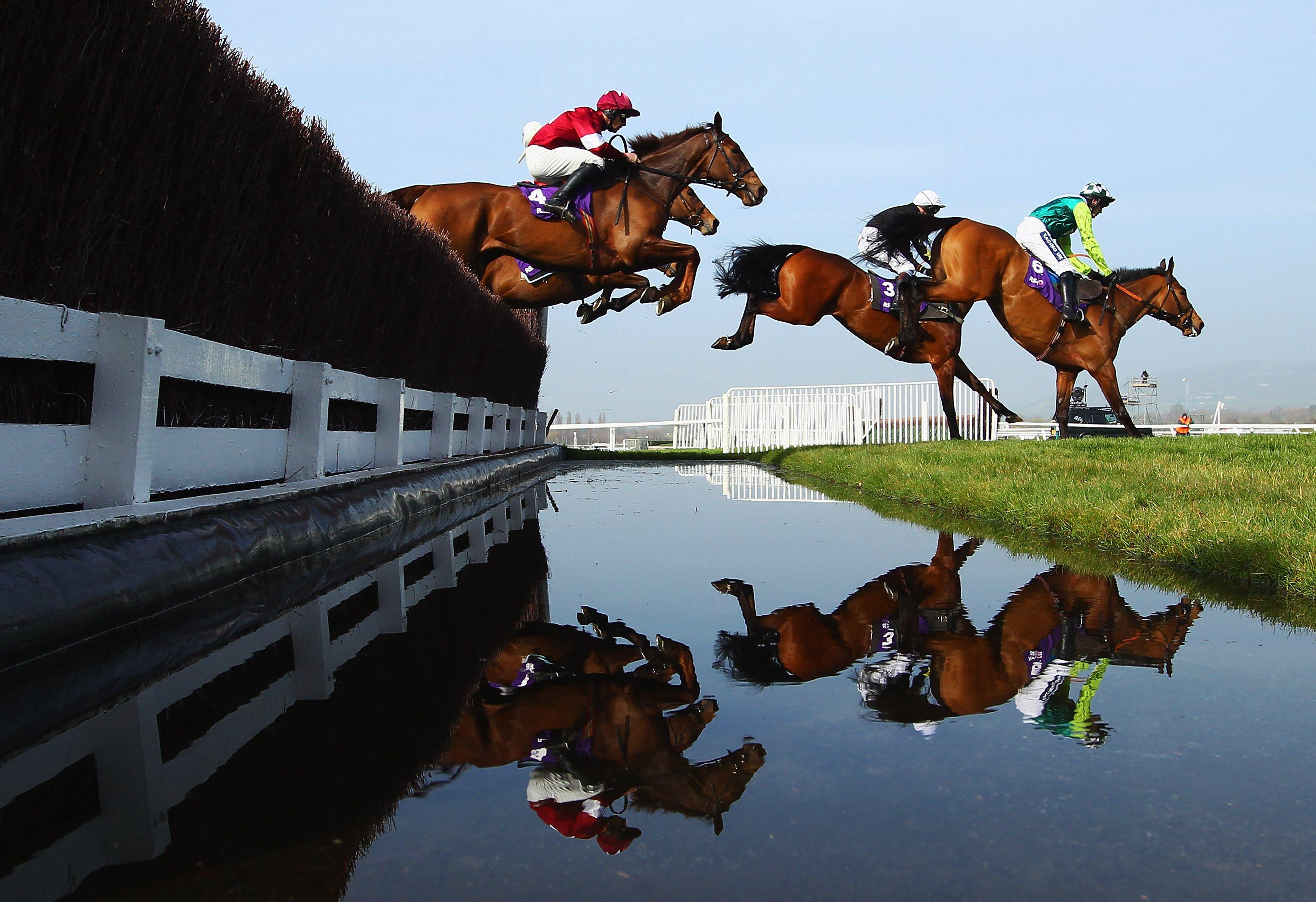 Horse Race Wallpapers - Top Free Horse Race Backgrounds - WallpaperAccess
