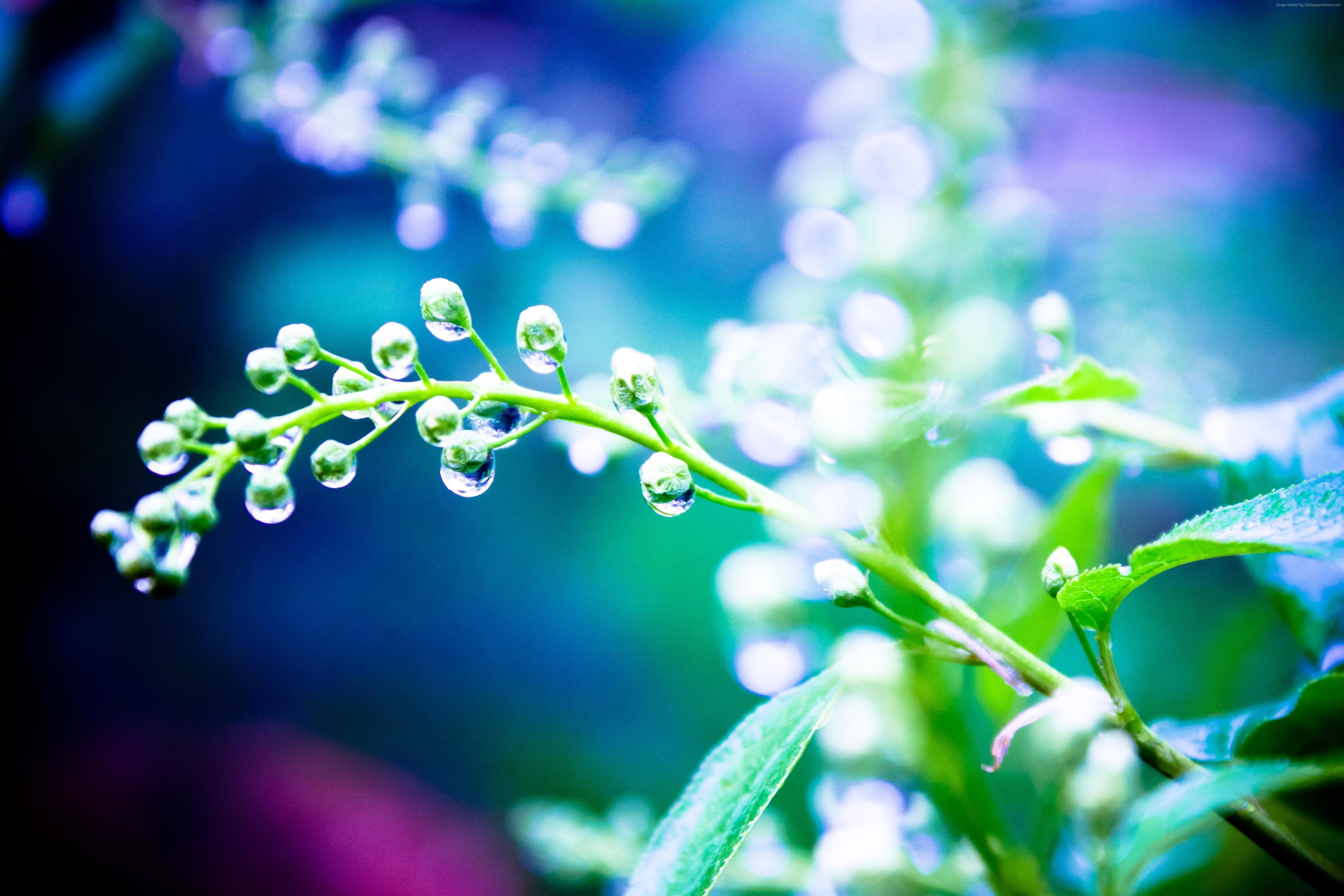 8k Light Wallpapers - Top Free 8k Light Backgrounds - WallpaperAccess