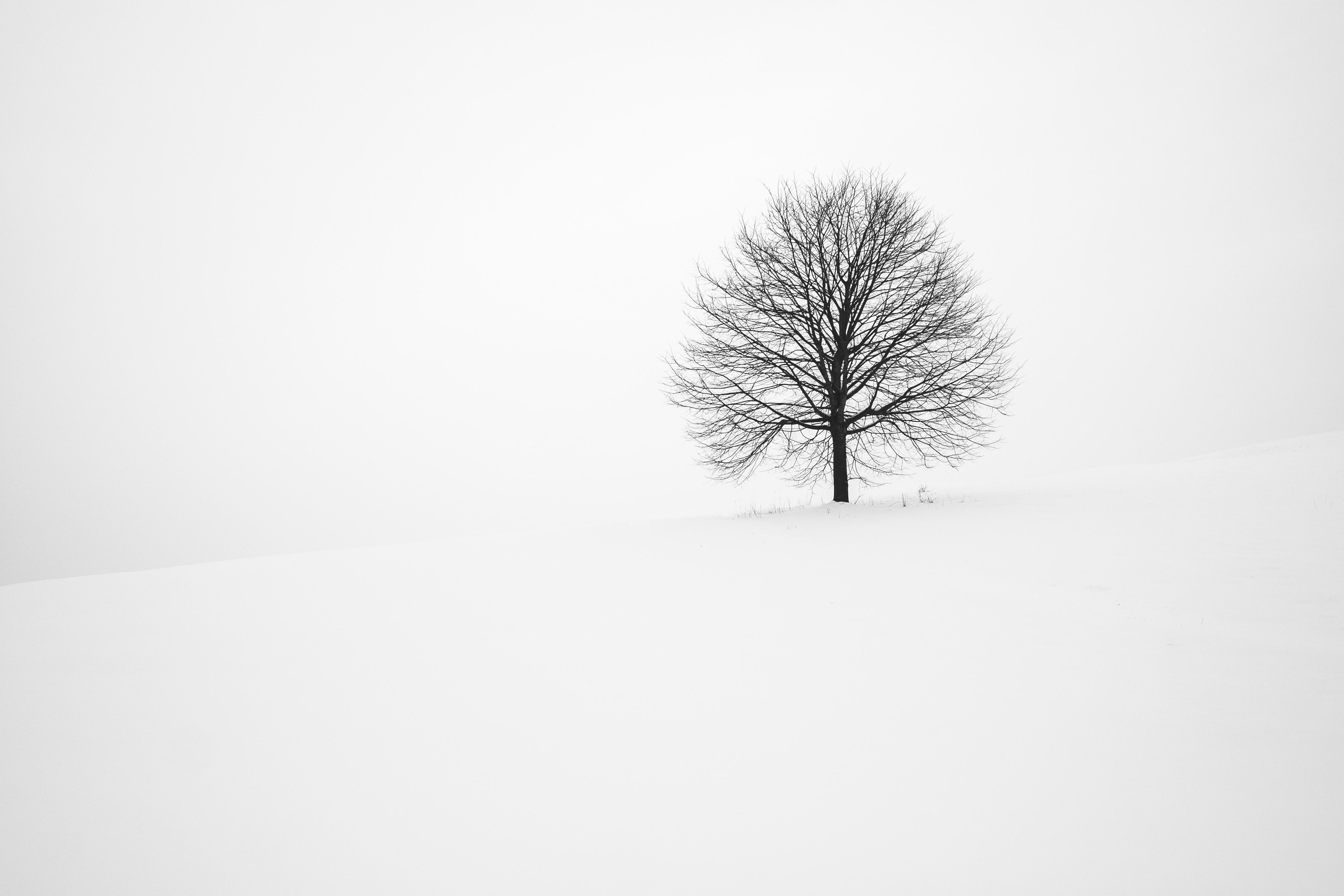 Lonely Winter Wallpapers - Top Free Lonely Winter Backgrounds ...