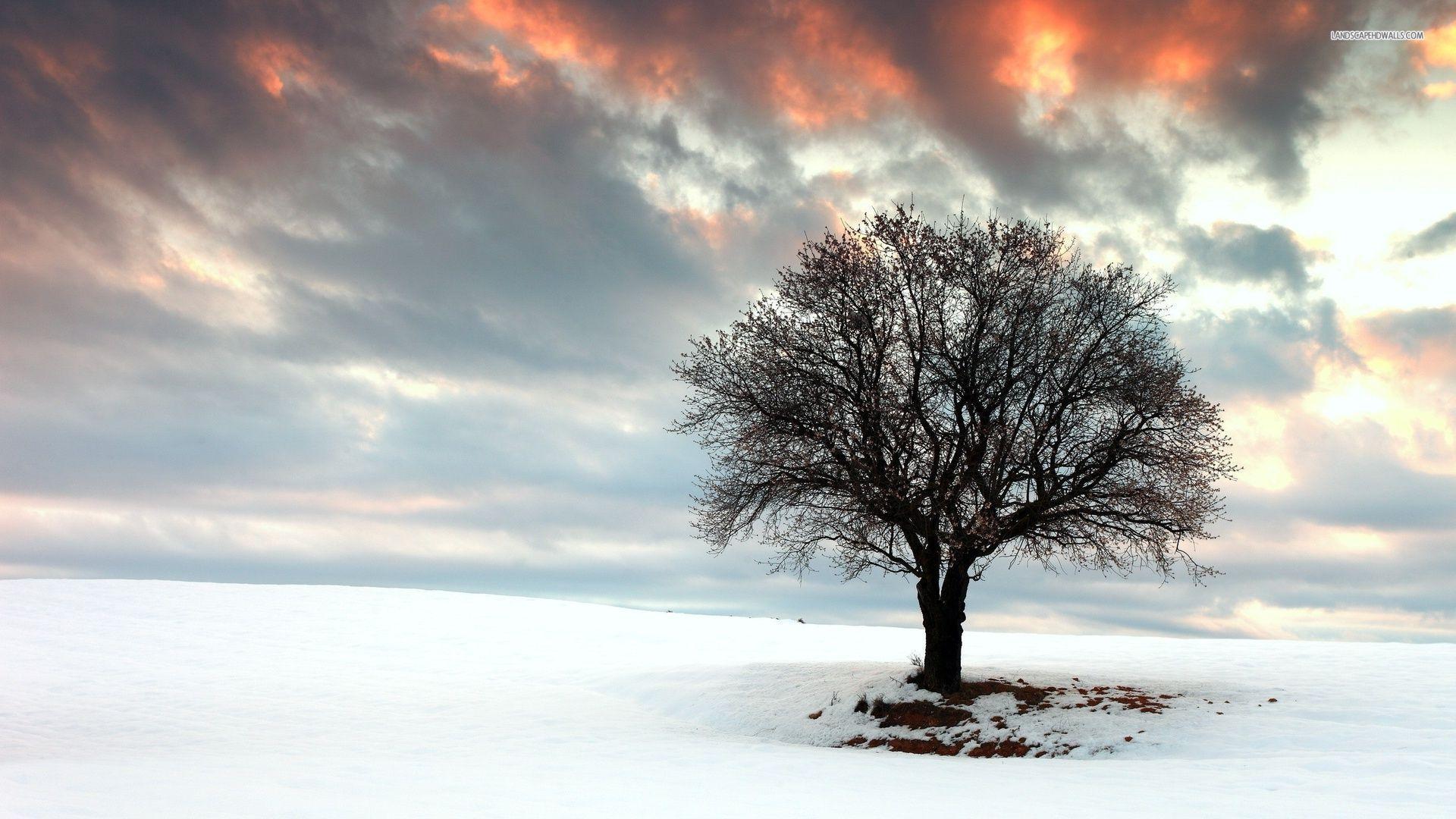 Lonely Winter Wallpapers - Top Free Lonely Winter Backgrounds ...