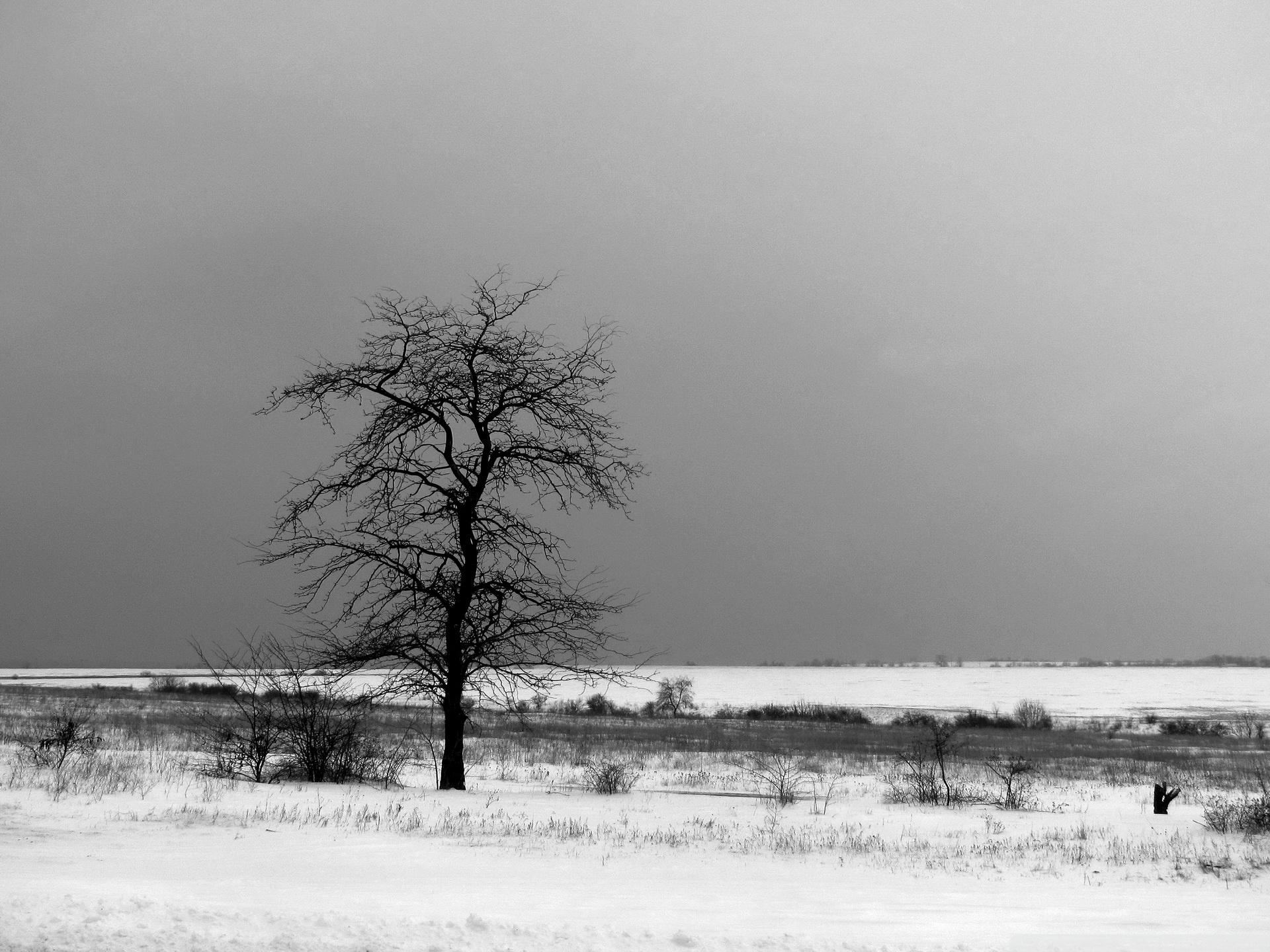 Lonely Winter Wallpapers - Top Free Lonely Winter Backgrounds ...