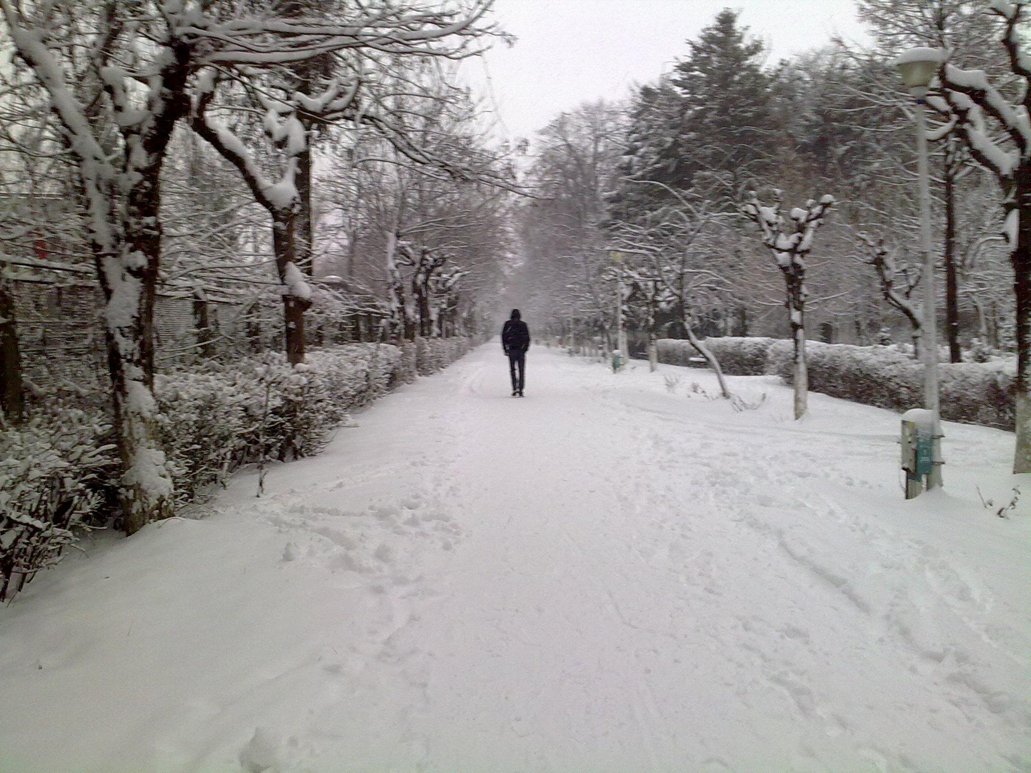 Lonely Winter Wallpapers - Top Free Lonely Winter Backgrounds ...