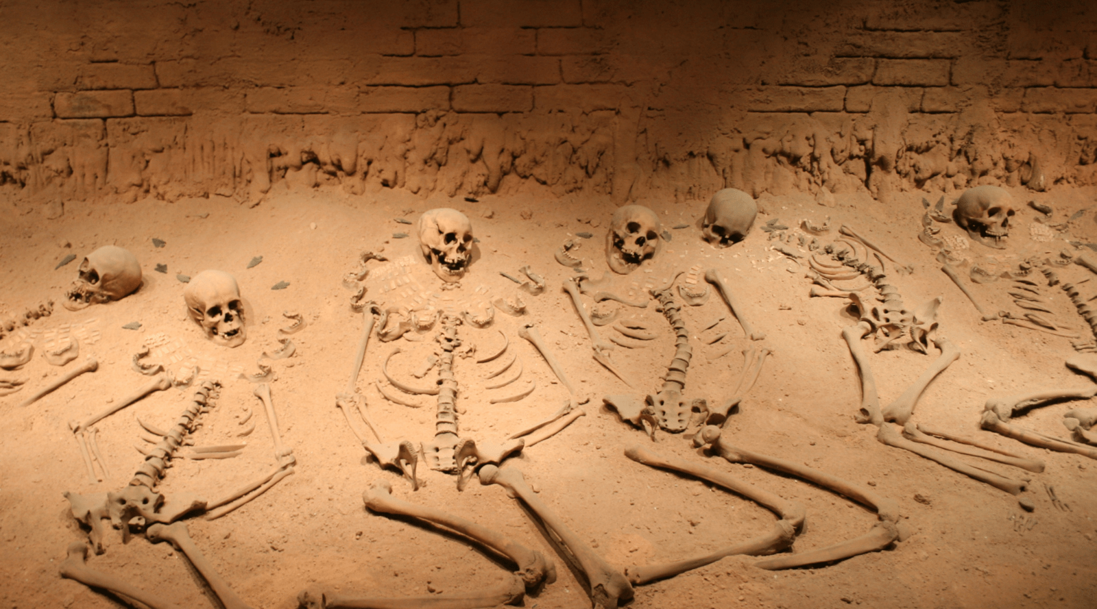 Anthropology Wallpapers - Top Free Anthropology Backgrounds ...