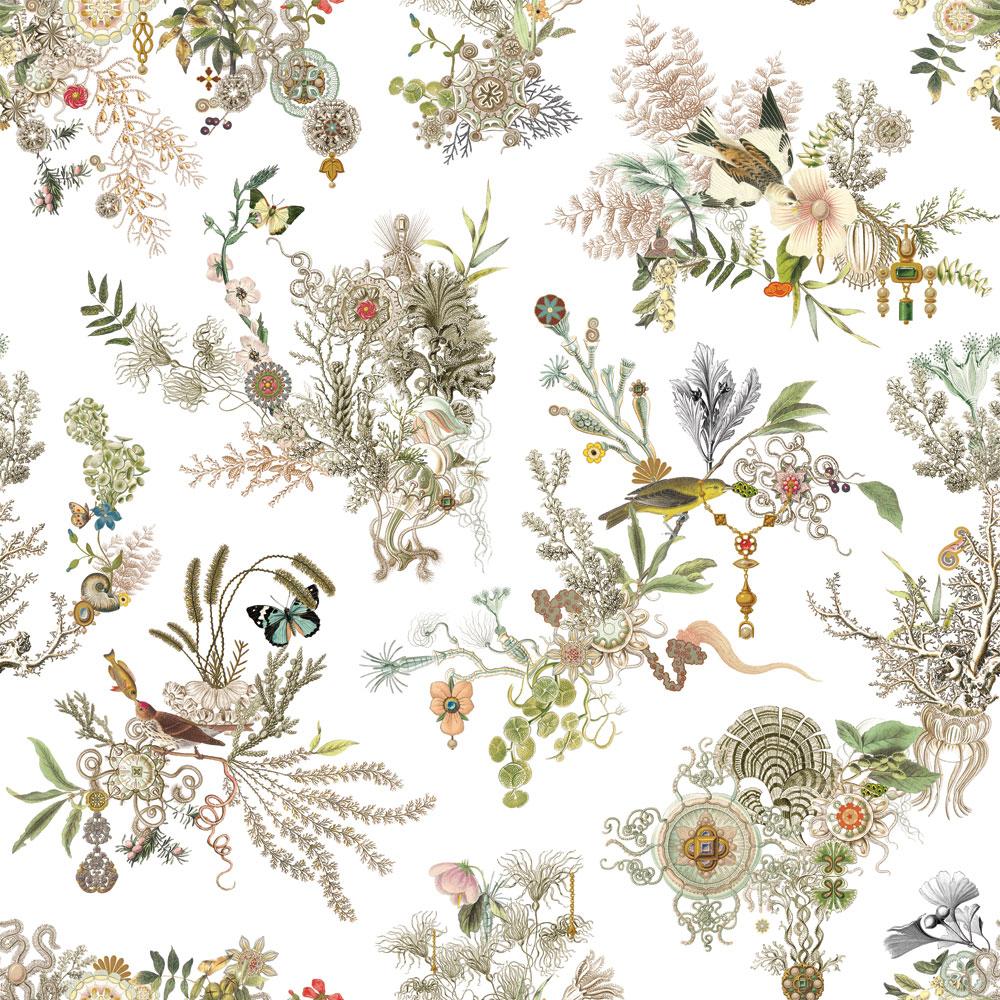 Anthropology Wallpapers - Top Free Anthropology Backgrounds ...