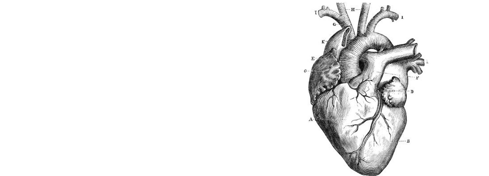 Cardiac Wallpapers - Top Free Cardiac Backgrounds - WallpaperAccess