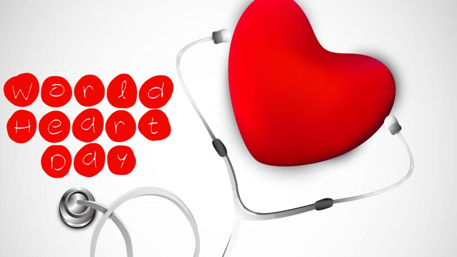 Cardiac Wallpapers - Top Free Cardiac Backgrounds - WallpaperAccess